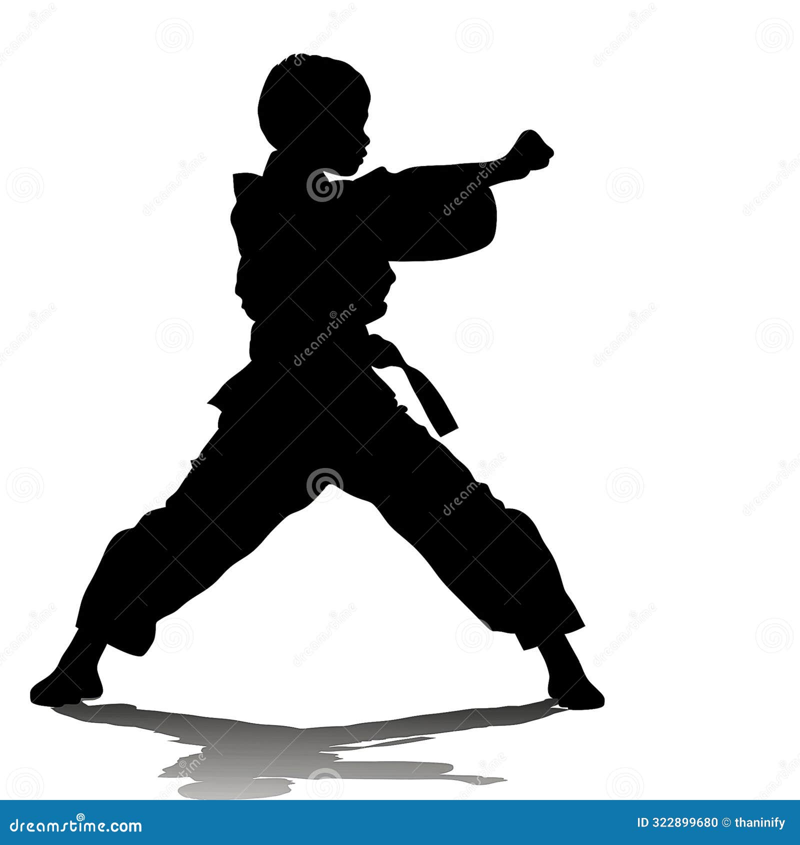 Silhouette of a Man in Karate Stance with Shadow on White Background ...