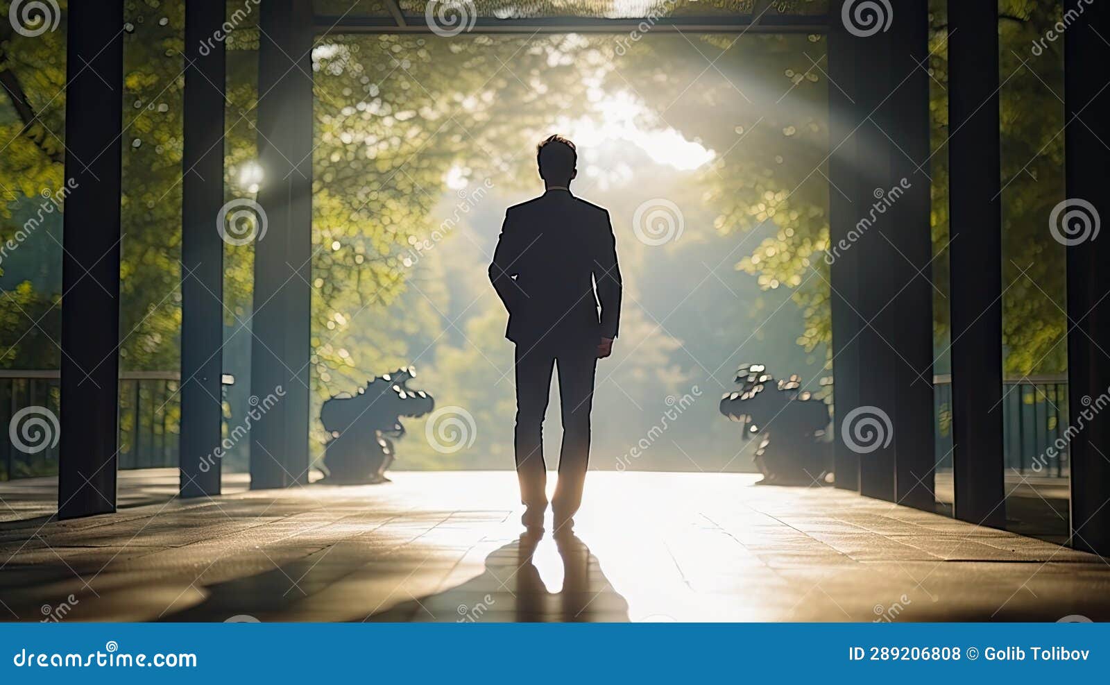 A Man in a Suit Walking into the Light Stock Photo - Image of suit ...