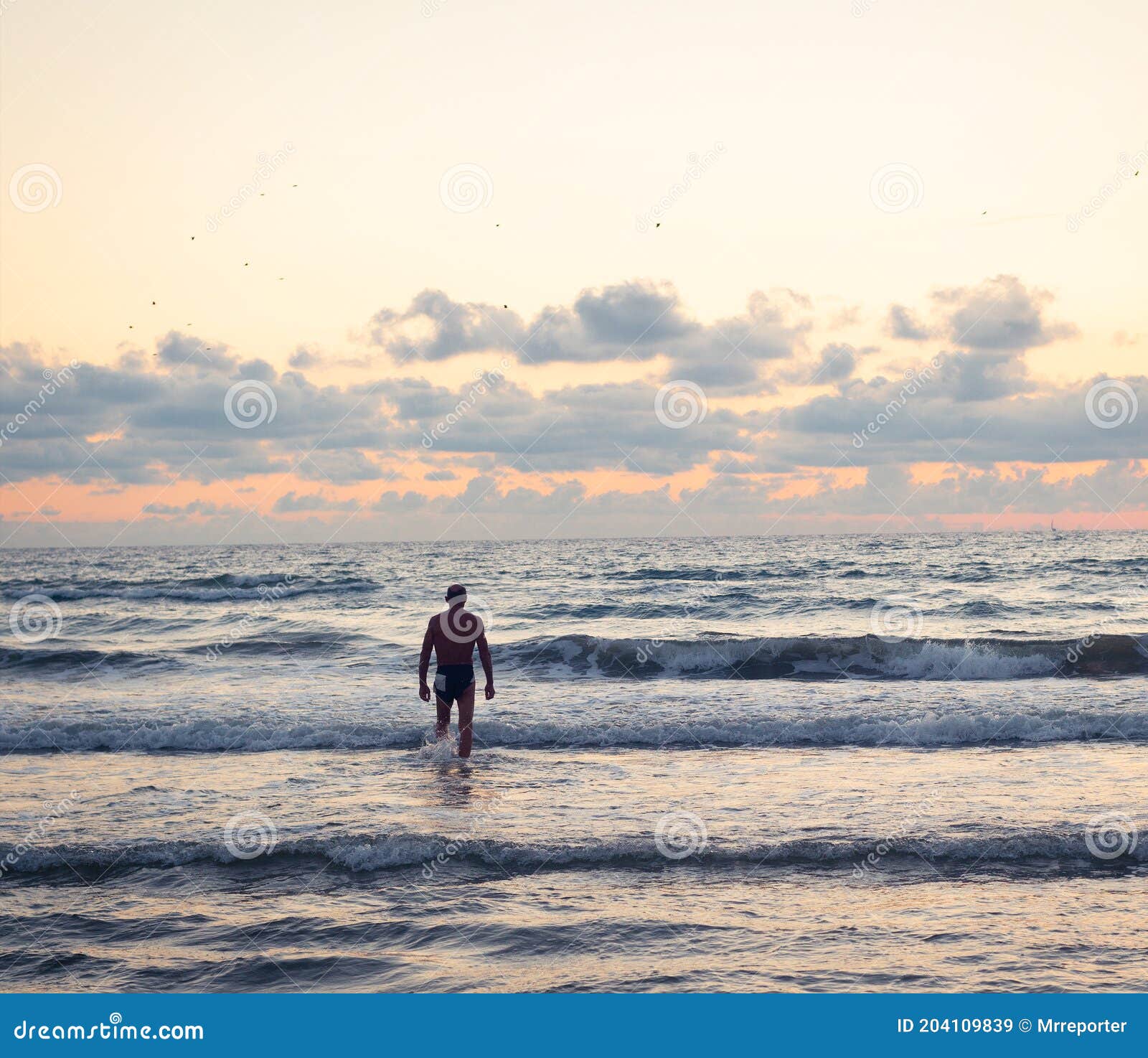 Swimmer stock image. Image of landscape, swimming, ocean - 204109839