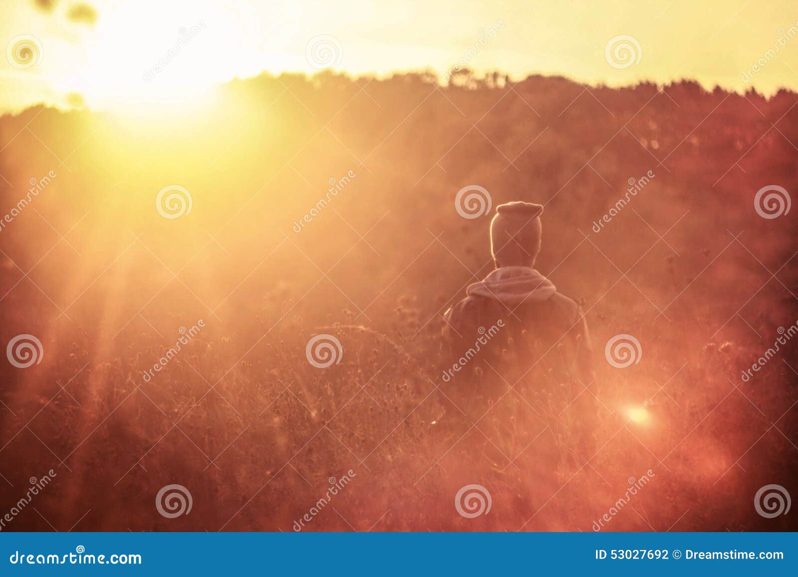 Man and sunshine stock photo. Image of beutiful, sunshine - 53027692
