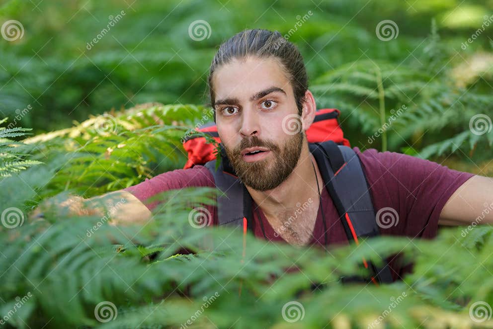 Man with Surprised Expression Emerging from Fern Thicket Stock Photo ...