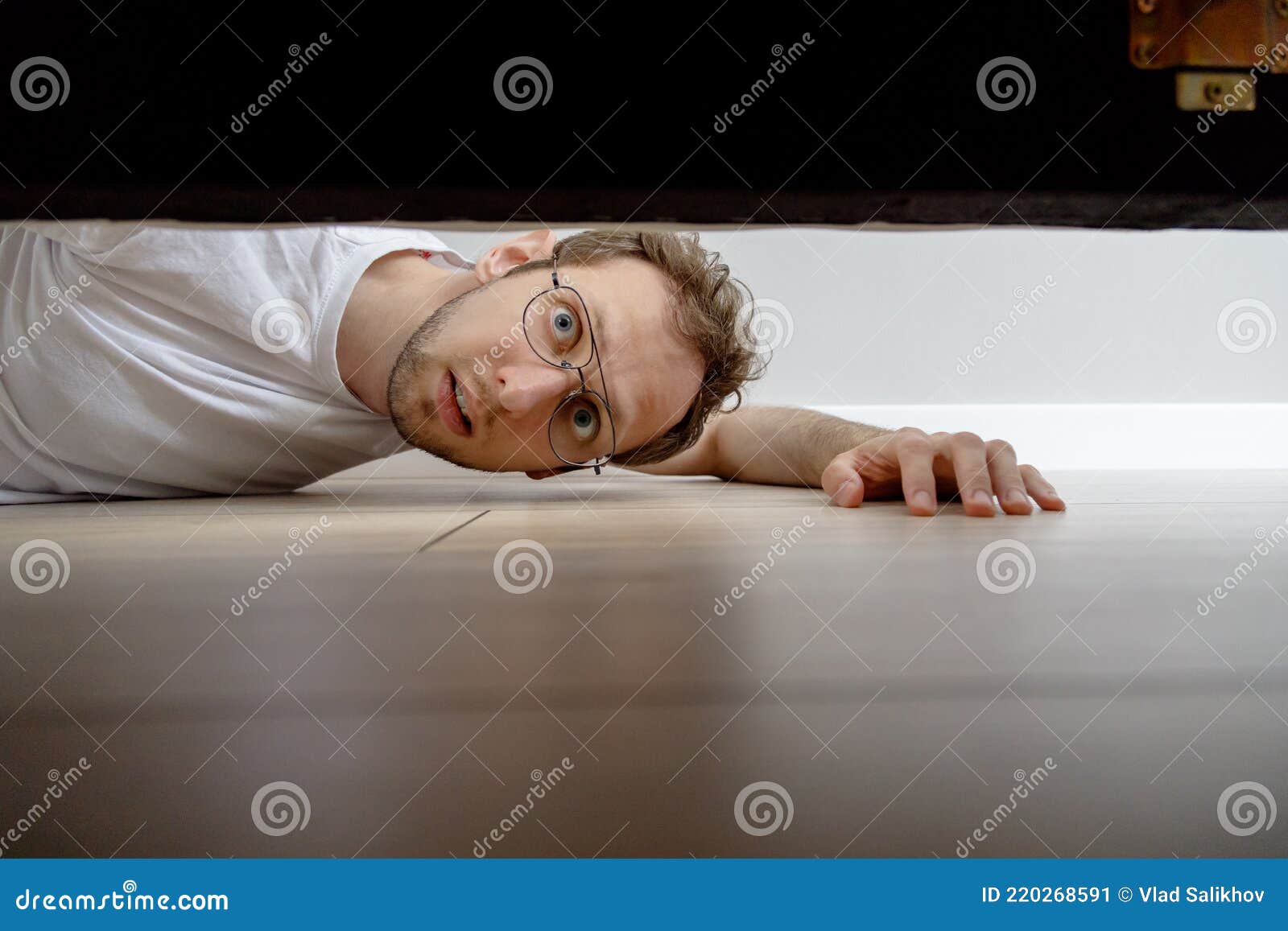 Looking Up Under The Canopy Of A Beautiful Japanese Maple Tree With Red ...