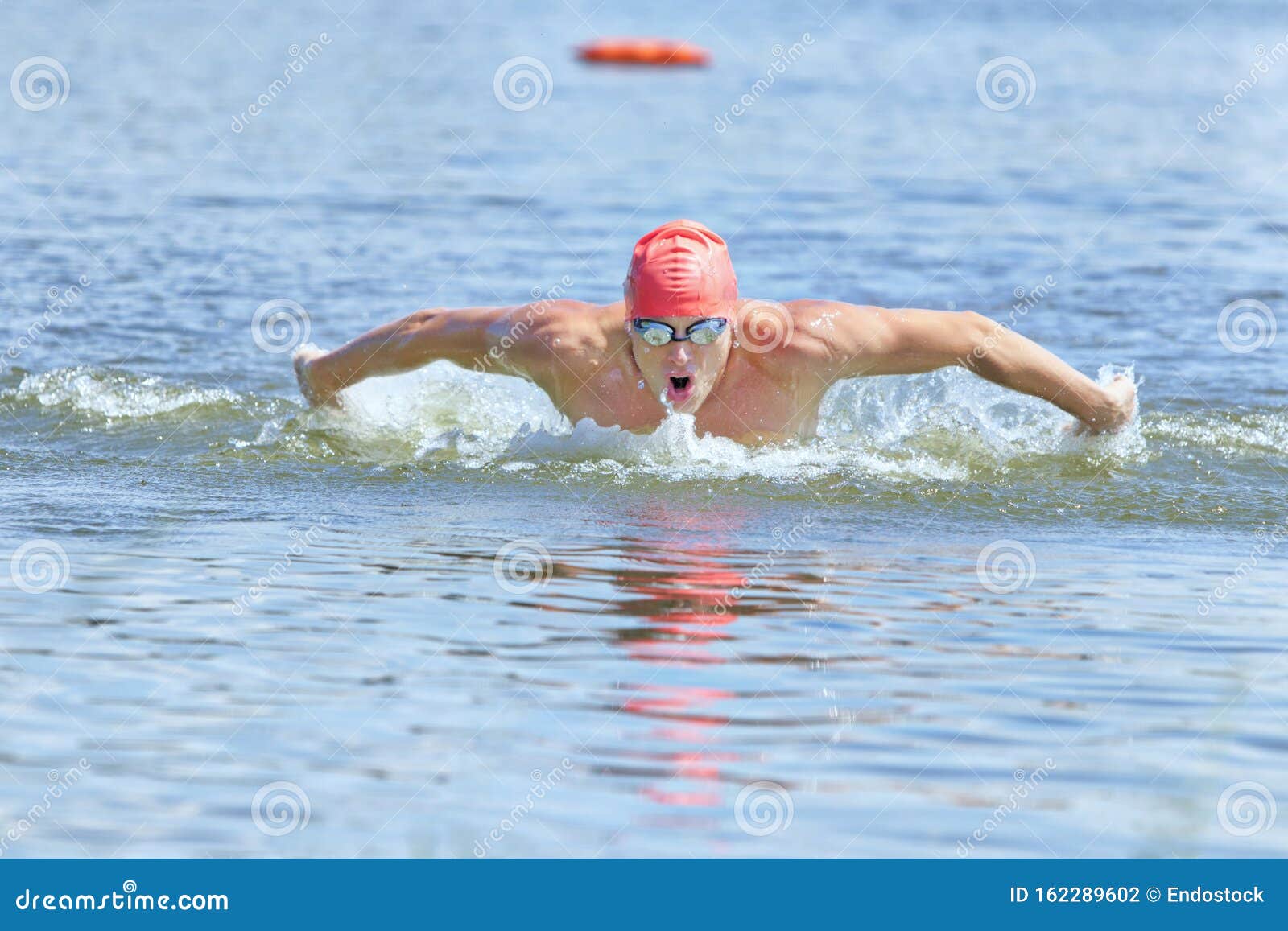 Swimmer Performing The Butterfly Stroke,profile Royalty-Free Stock ...