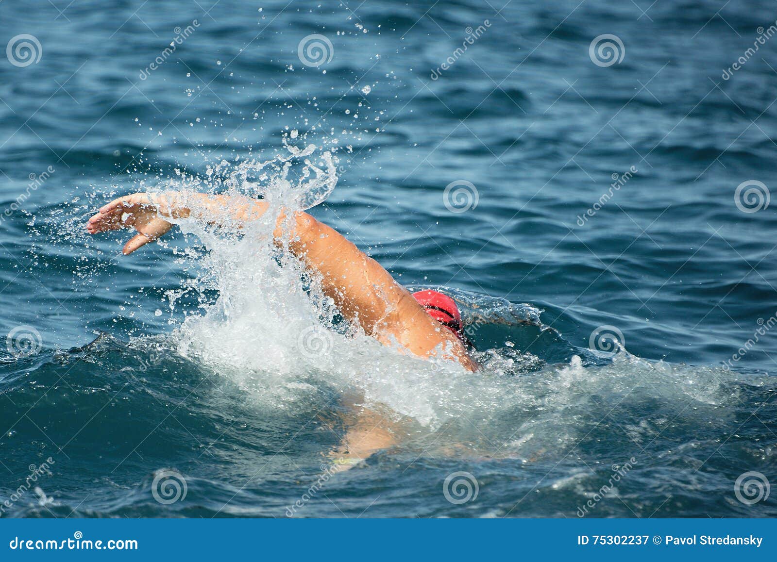 Man swimmer swimming crawl stock image. Image of speed - 75302237