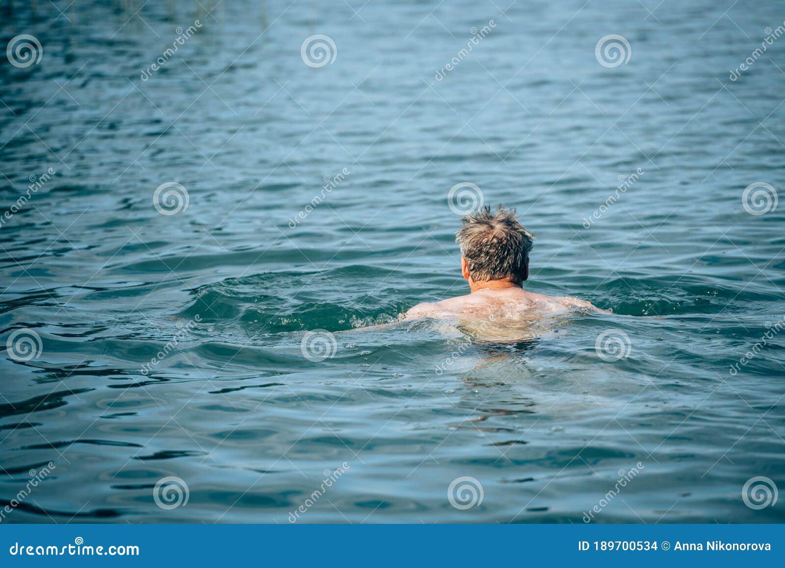 A Man Swimming in a Lake in Summer-a View from the Back. Stock Photo ...