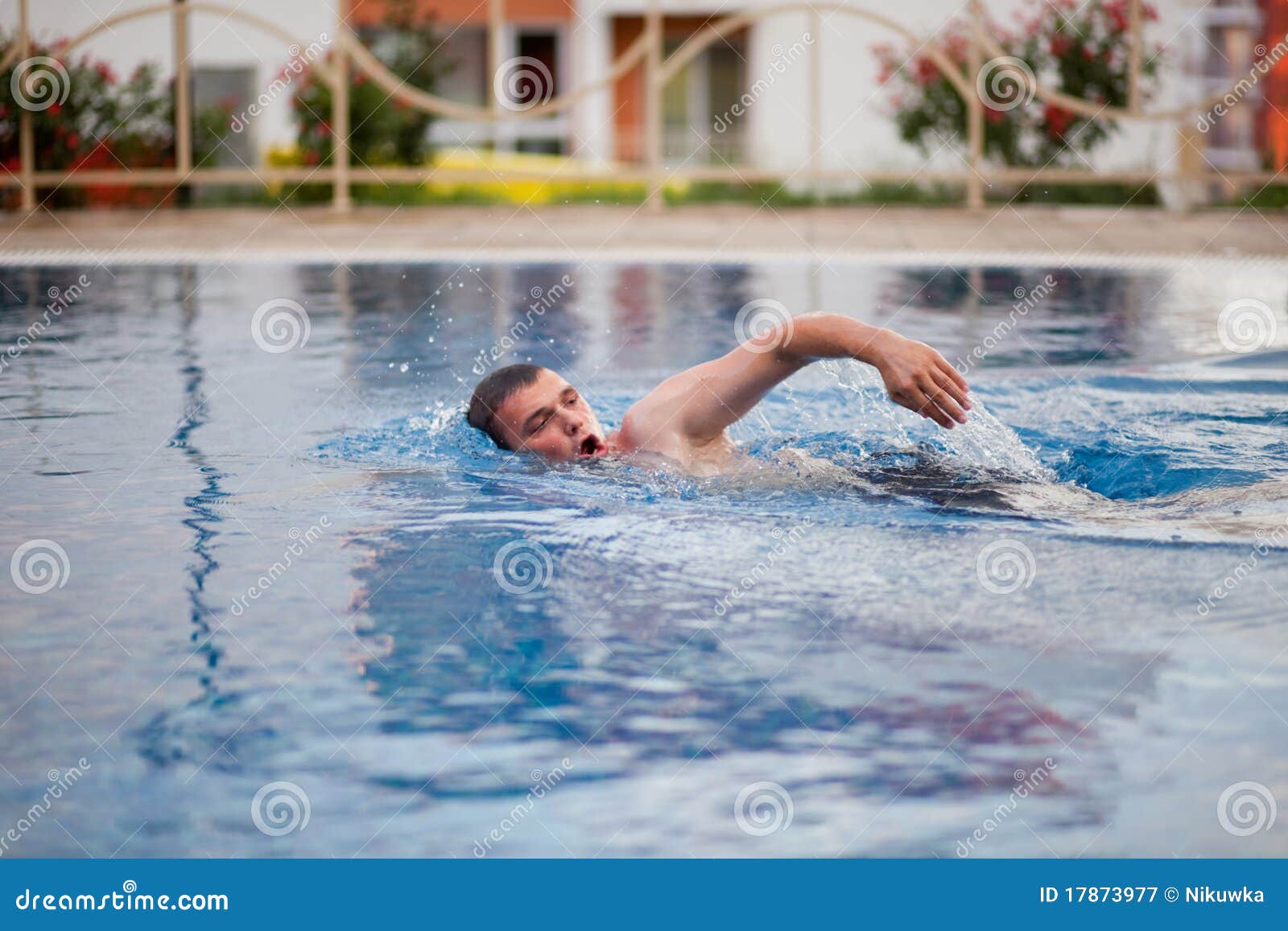 Man swimming in pool stock image. Image of sportman, vitality - 17873977