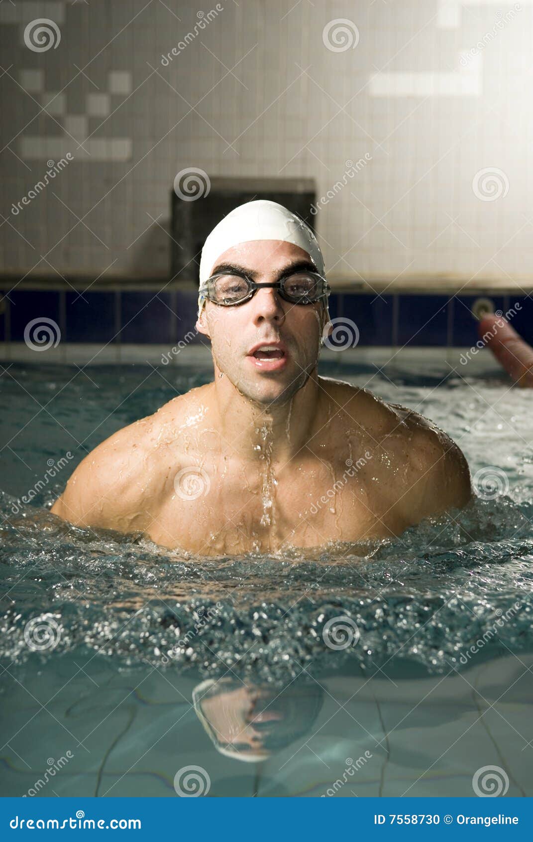 Man Swimming in Pool stock photo. Image of american, hispanic - 7558730
