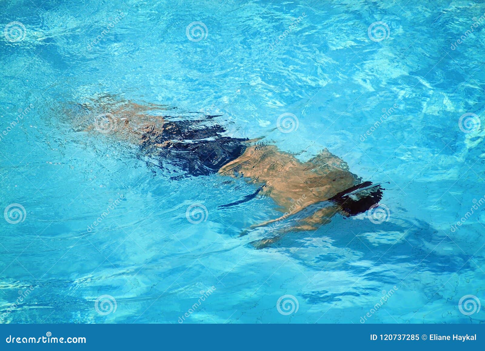 Man Swimming in Pool stock image. Image of water, pool - 120737285