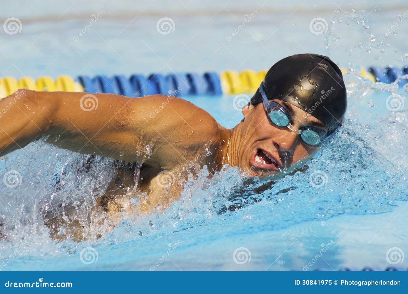 Man Swimming in Pool stock image. Image of fitness, outdoors - 30841975