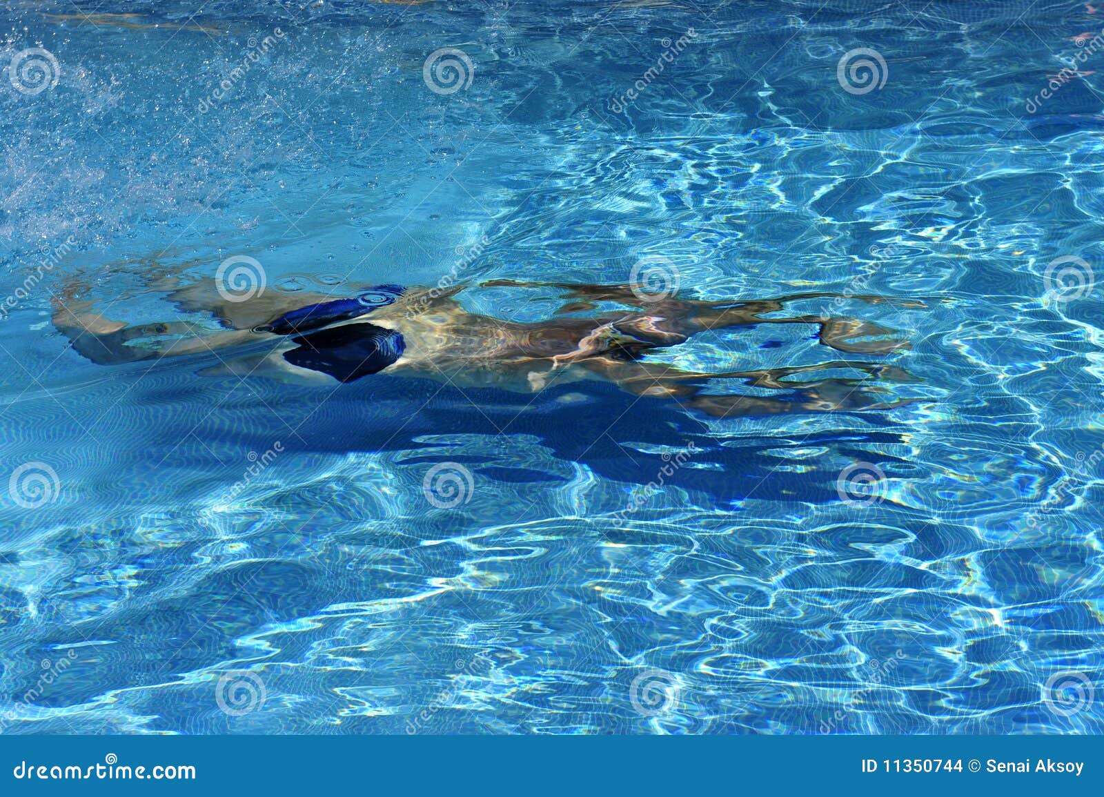 Man swimming underwater stock photo. Image of pool, tropical - 11350744