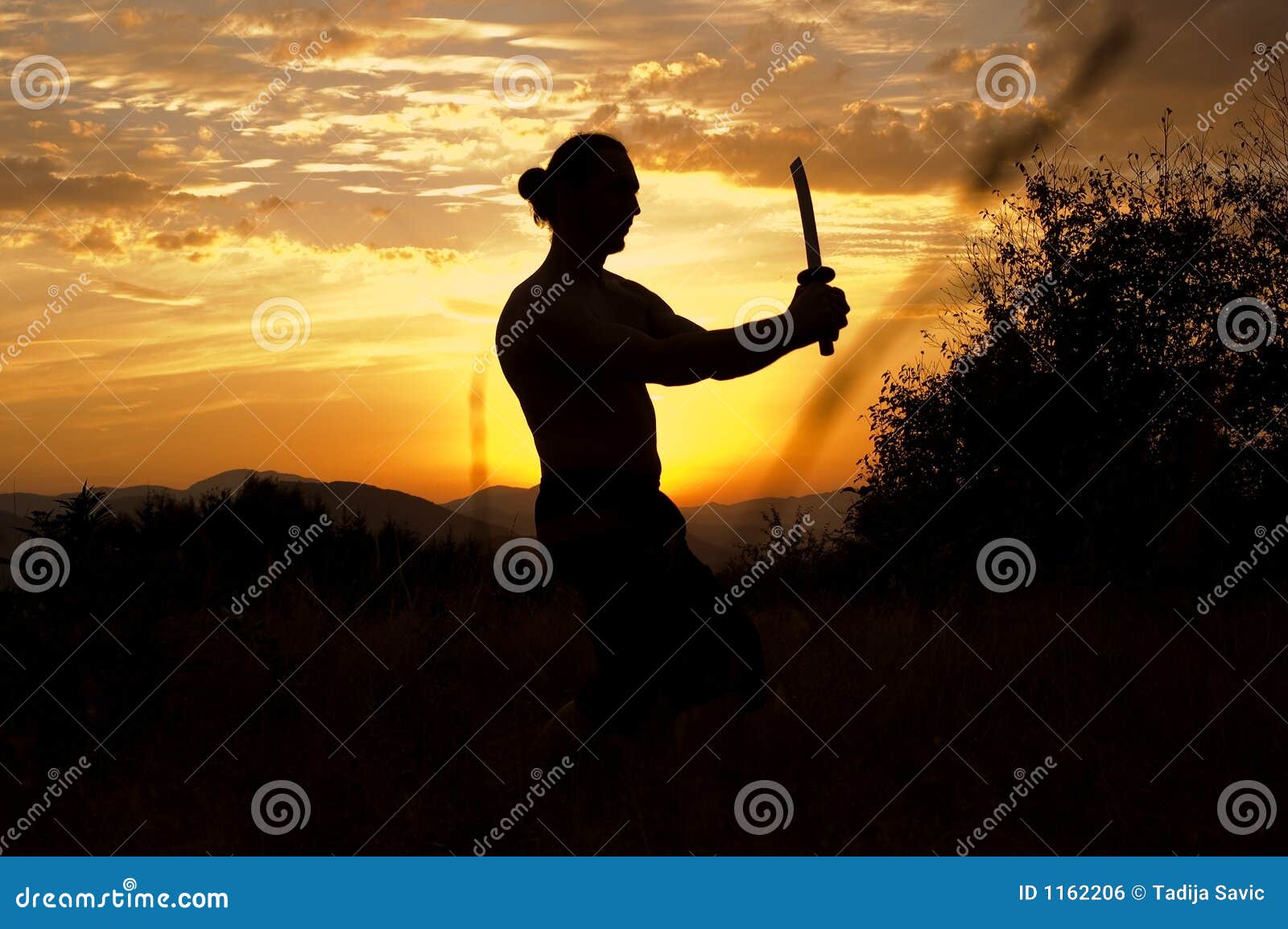 Man with sword stock photo. Image of young, nature, fight - 1162206