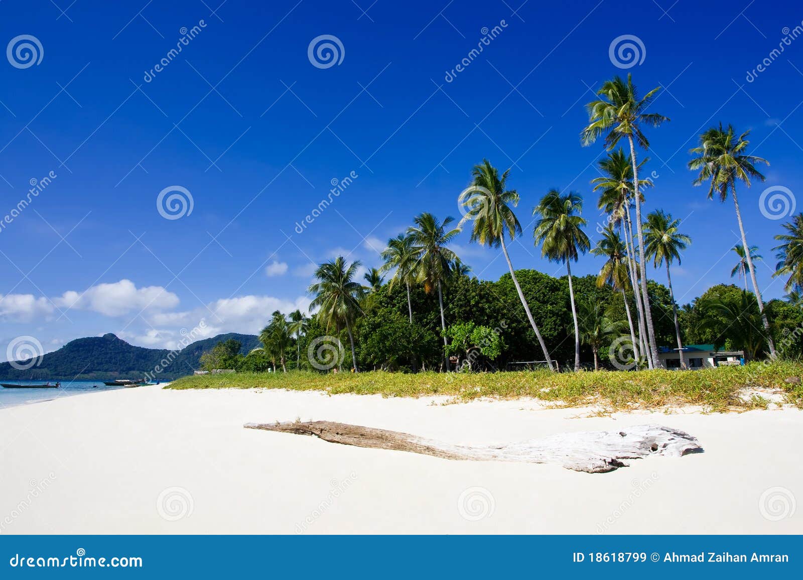 Man Tabuan Island in Borneo Stock Image - Image of green, backdrop ...