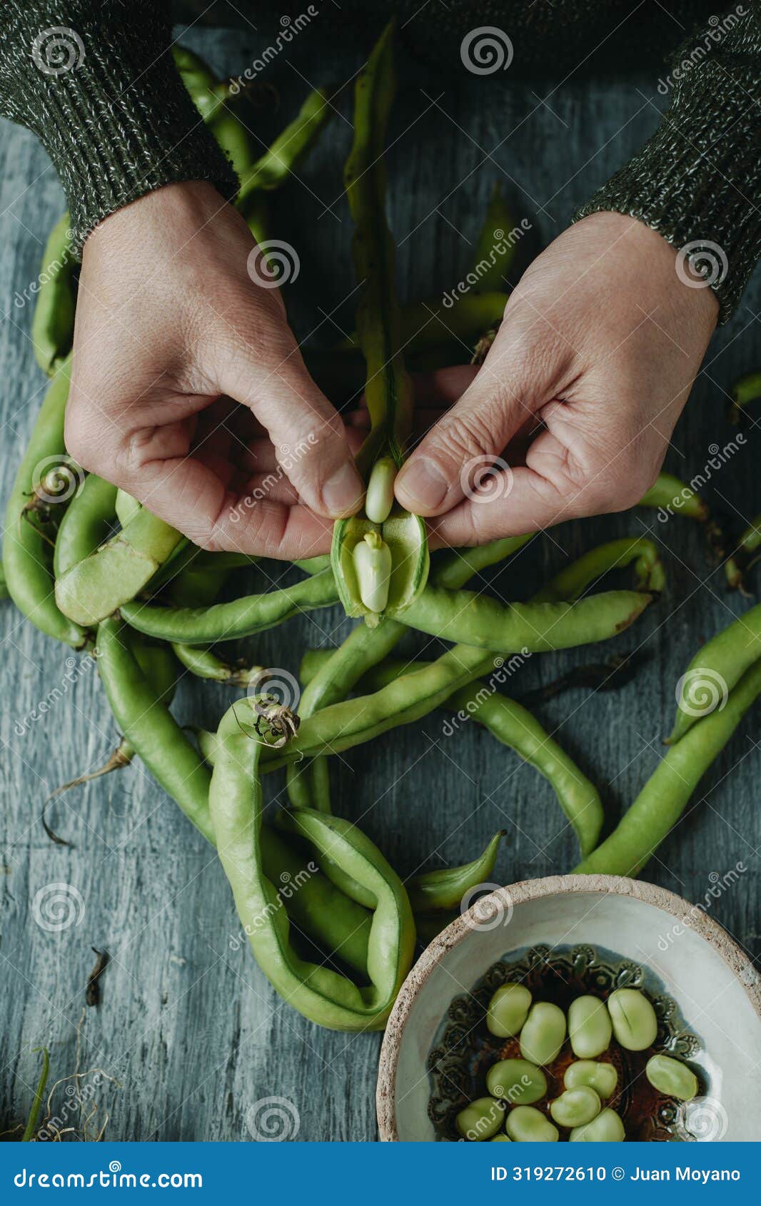 Man Taking Broad Beans Out of Its Pod Stock Photo - Image of diet ...