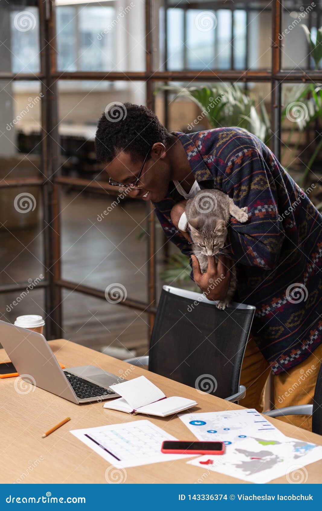 Man Taking Cat Away from His Computer Stock Photo - Image of employment ...