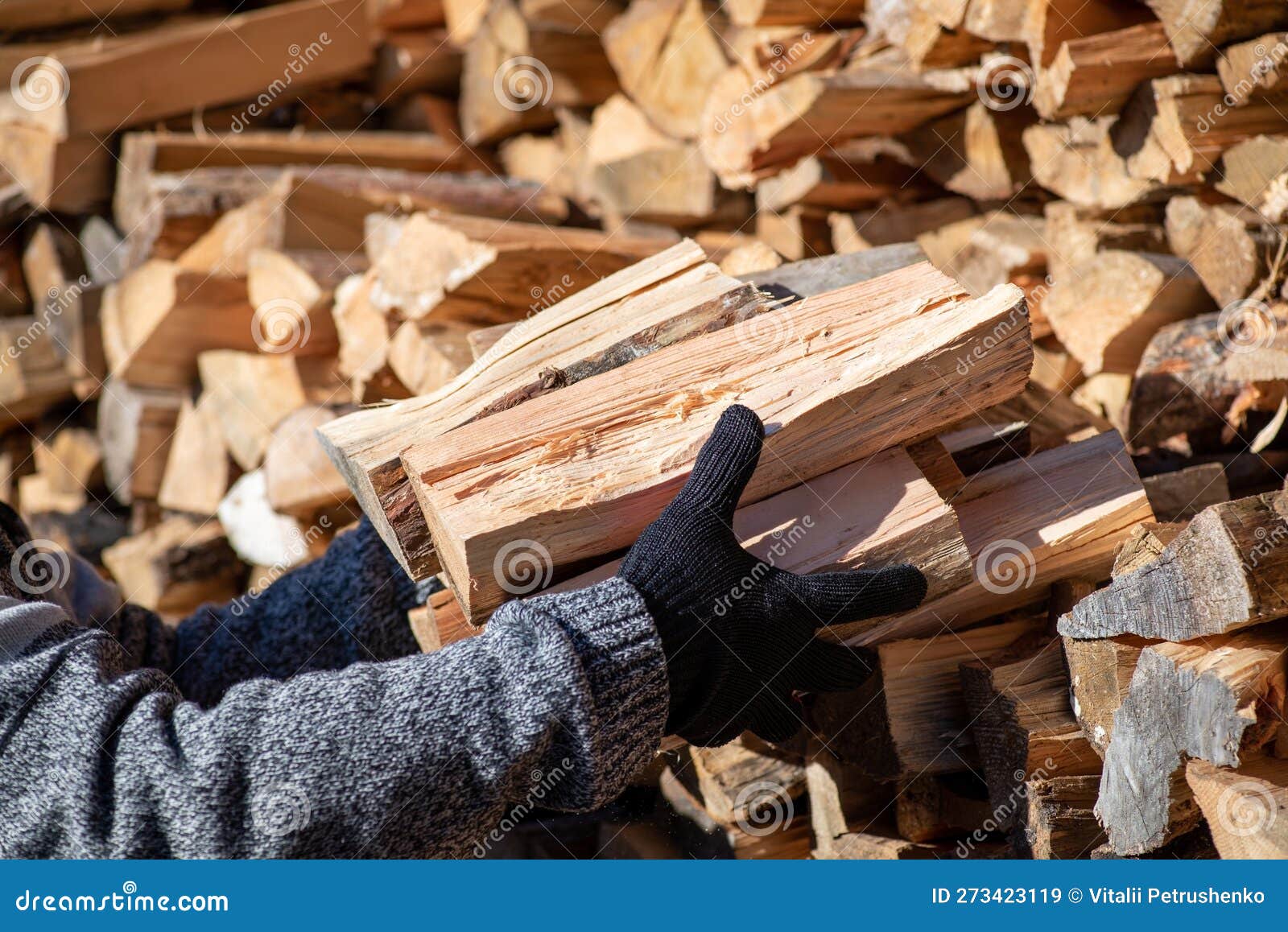 Man Taking Dry Split Firewood from Stack for Heating House Stock Image ...