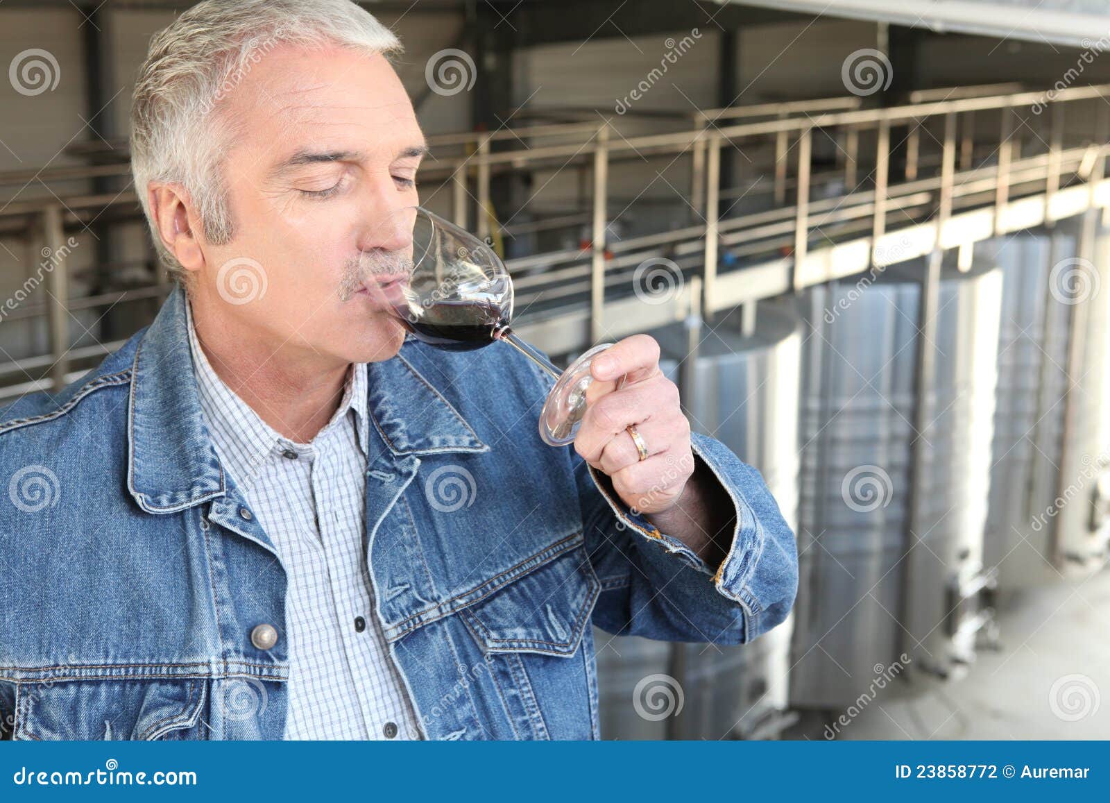 Man Tasting Industrial Wine Stock Photo - Image of agriculture ...