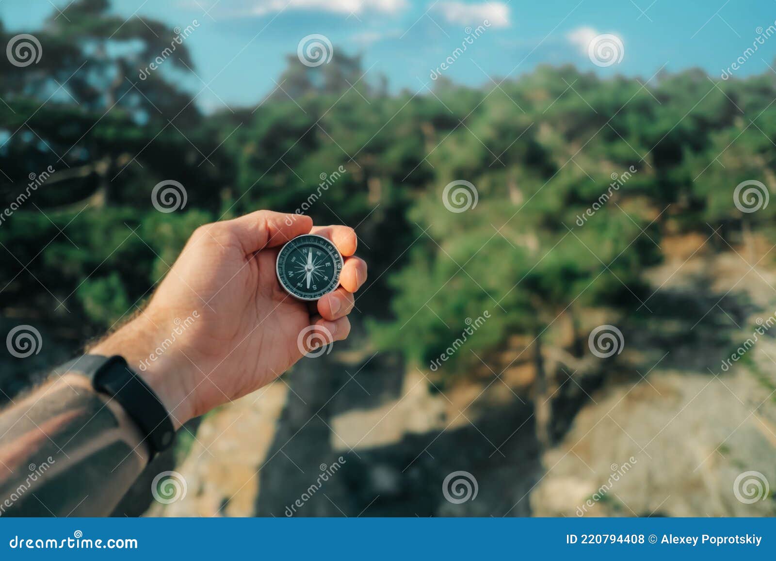 Man Holds A Compass In His Hand. Man Wathing Compass Holding In His ...