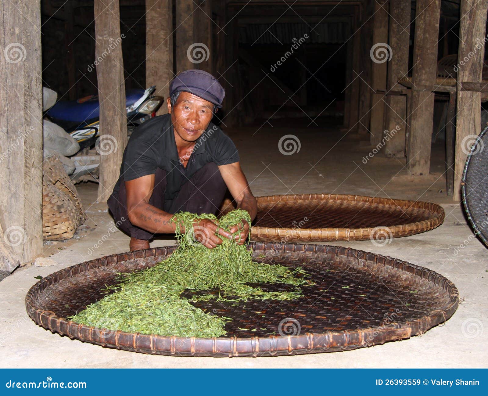 Man with tea leaves editorial stock image. Image of house - 26393559