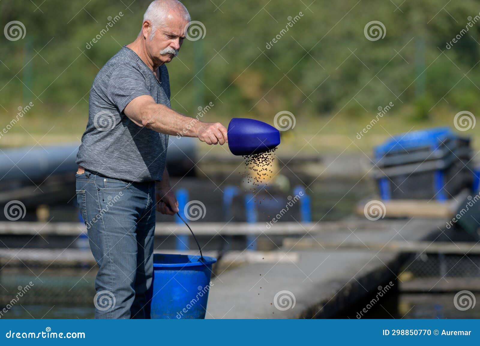 Man Throwing Fish Feeds in Pond Stock Photo - Image of aquaculture ...