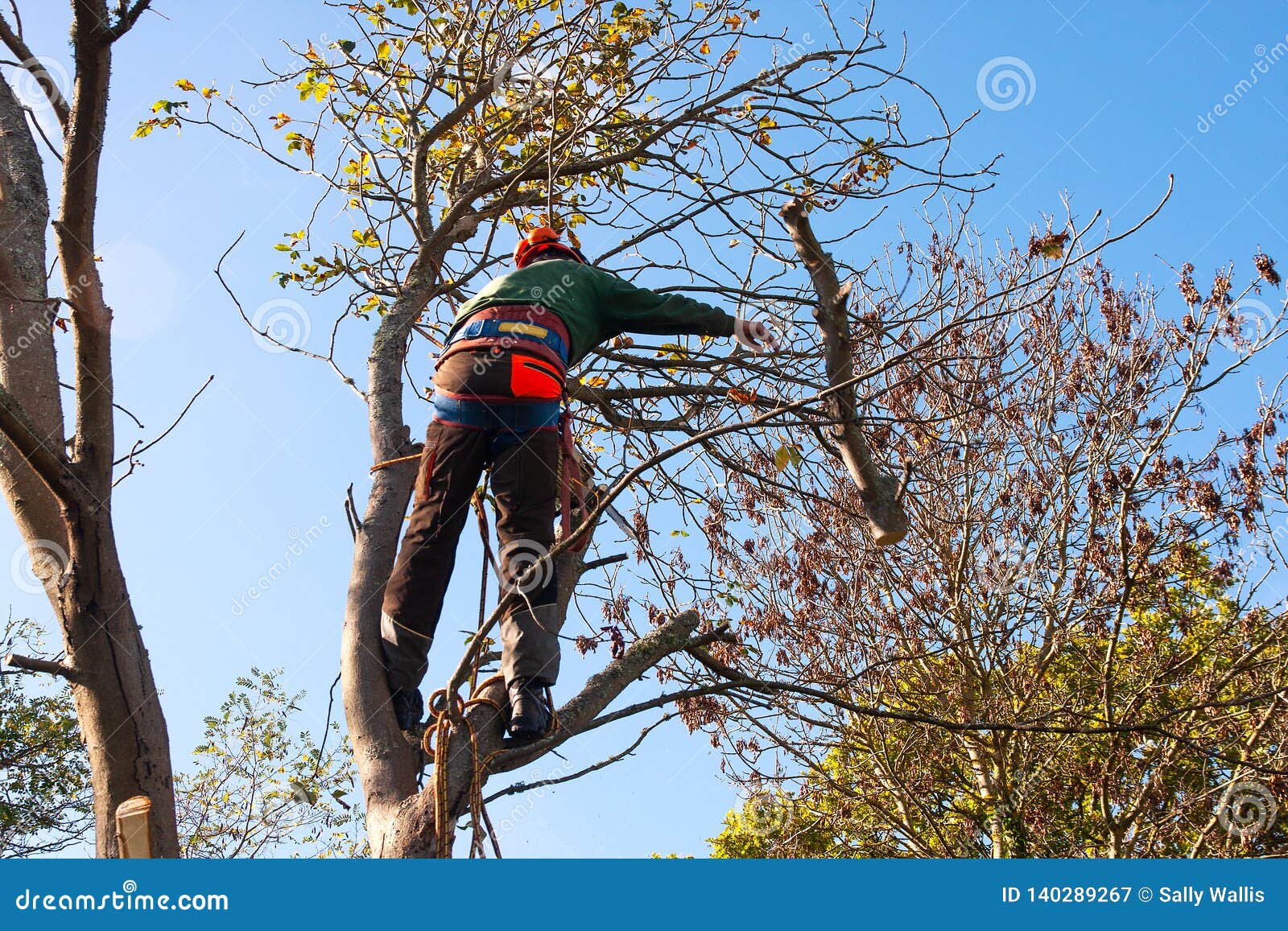 Man throwing sawn log stock image. Image of shadows - 140289267