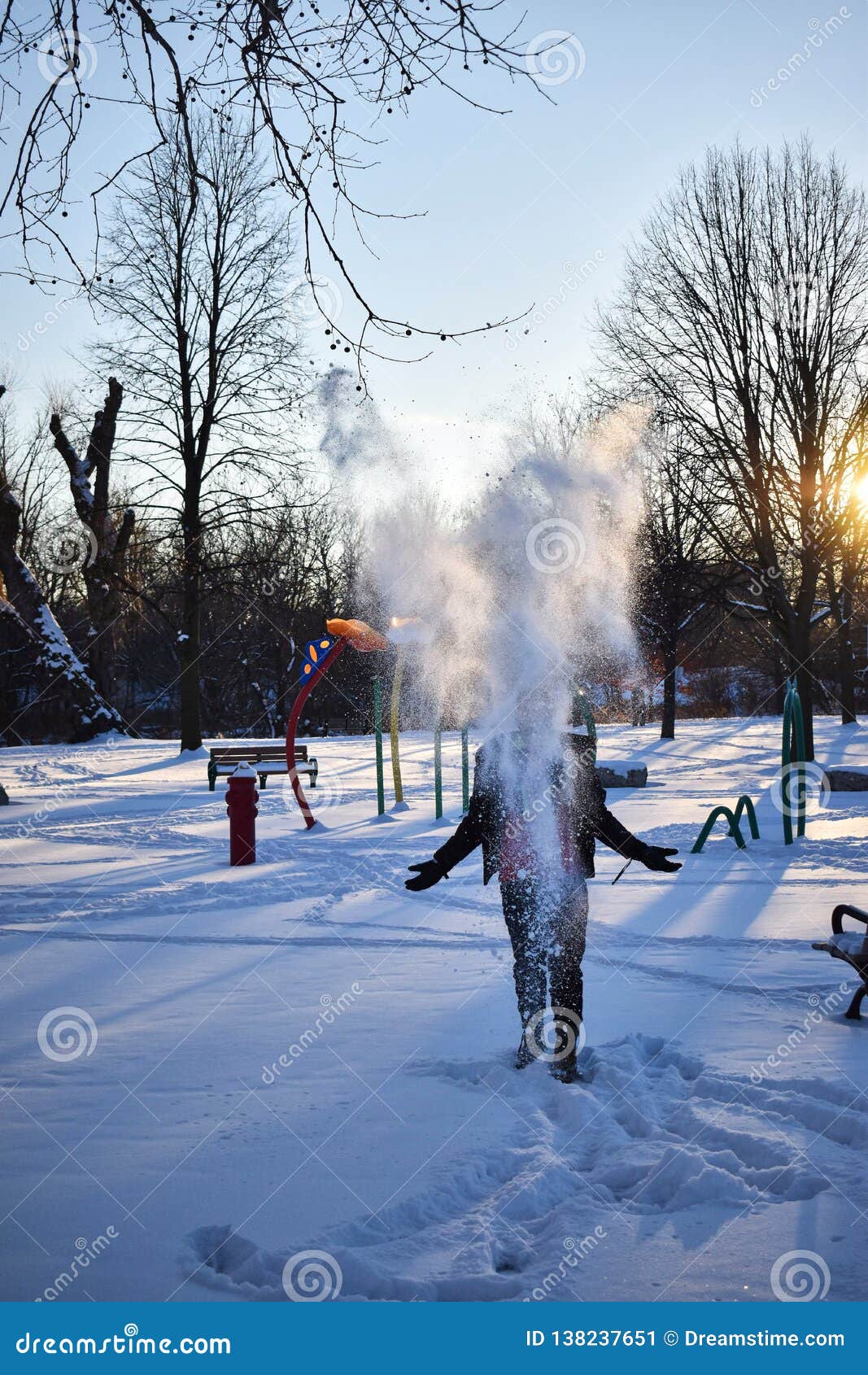 Man Throwing Snow into the Air Stock Image - Image of canada, snow ...