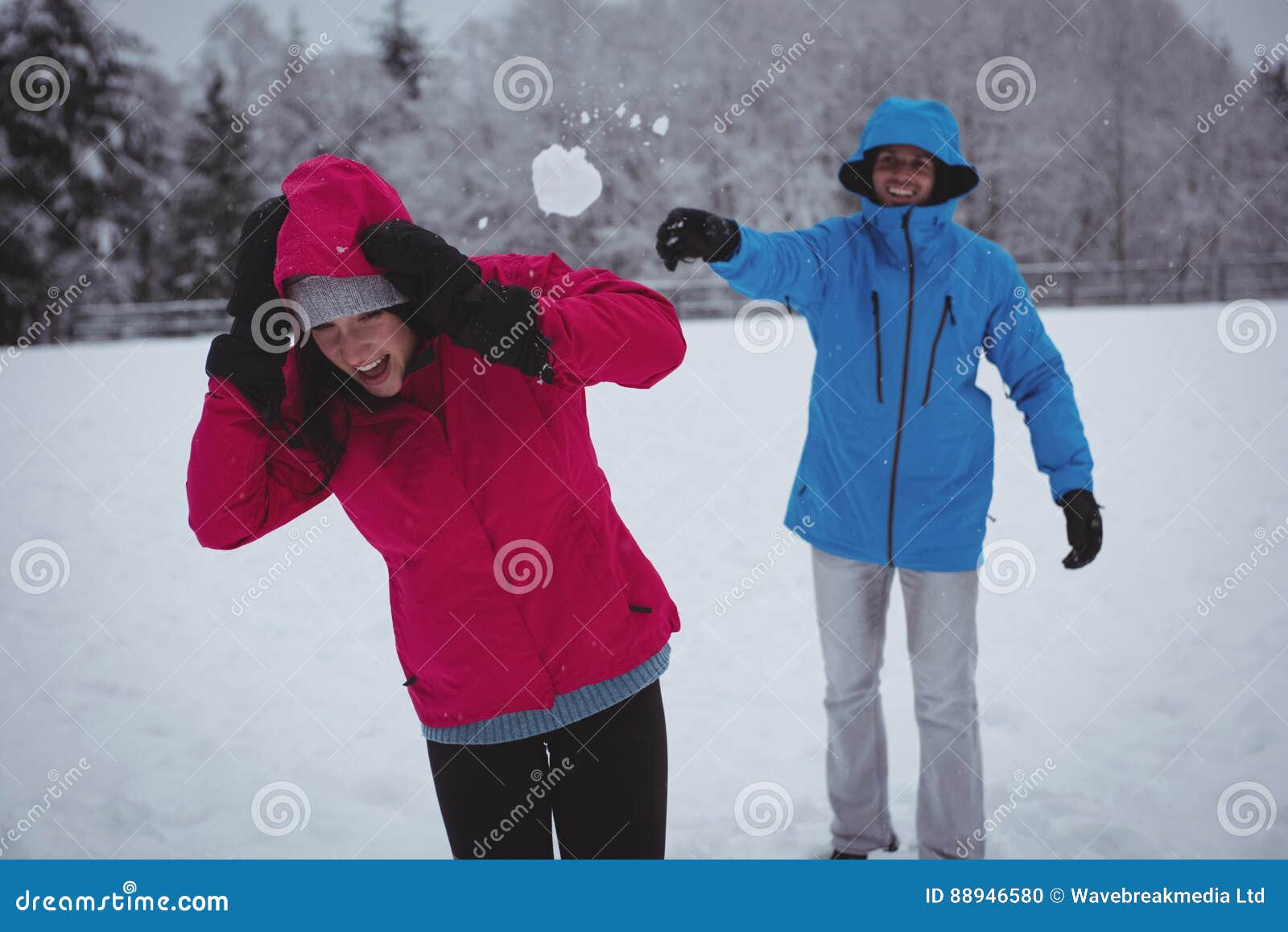 Snowball On A Woman& X27;s Hand In A Black Glove Royalty-Free Stock ...