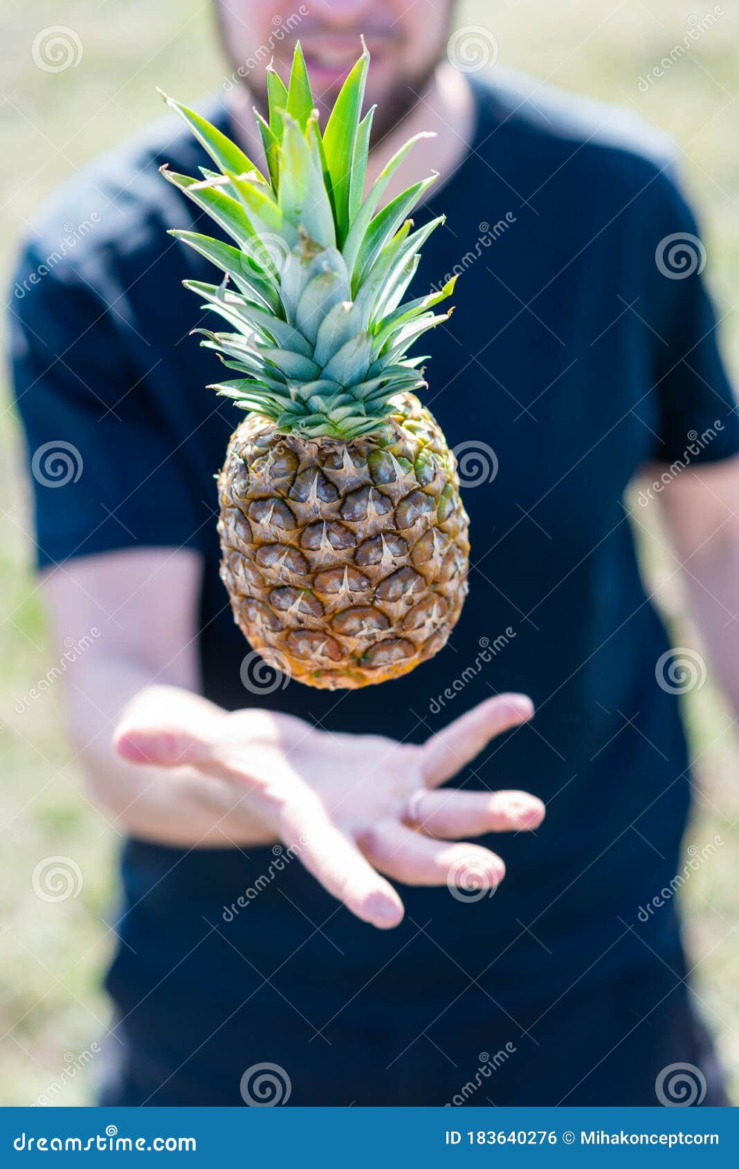 A man throws a pineapple stock photo. Image of portrait - 183640276