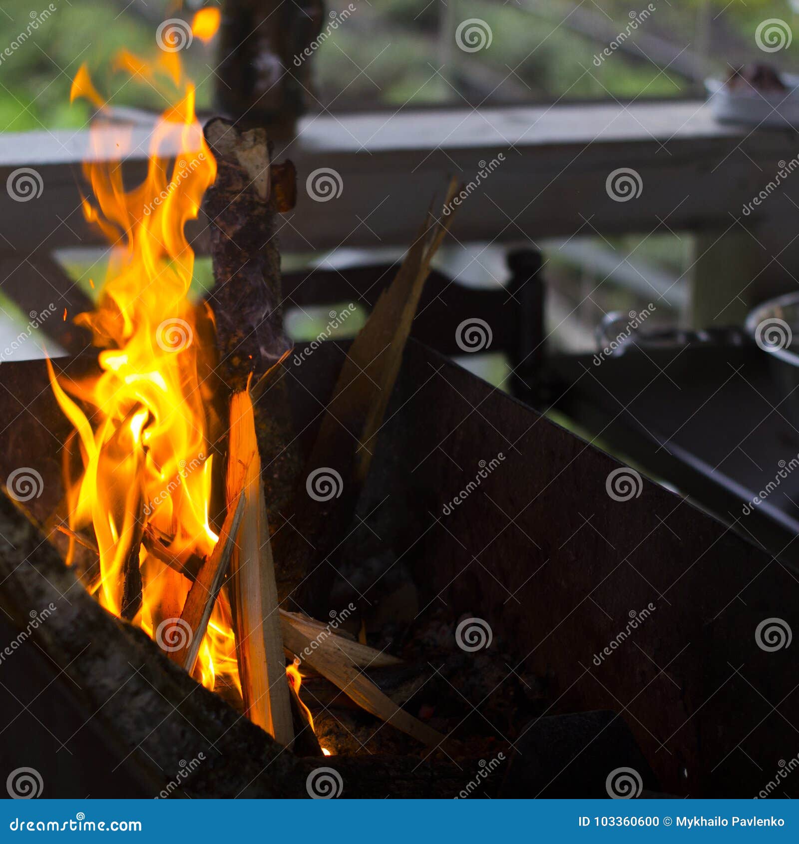A Man Throws a Tree into the Fire Stock Photo - Image of forest, cook ...