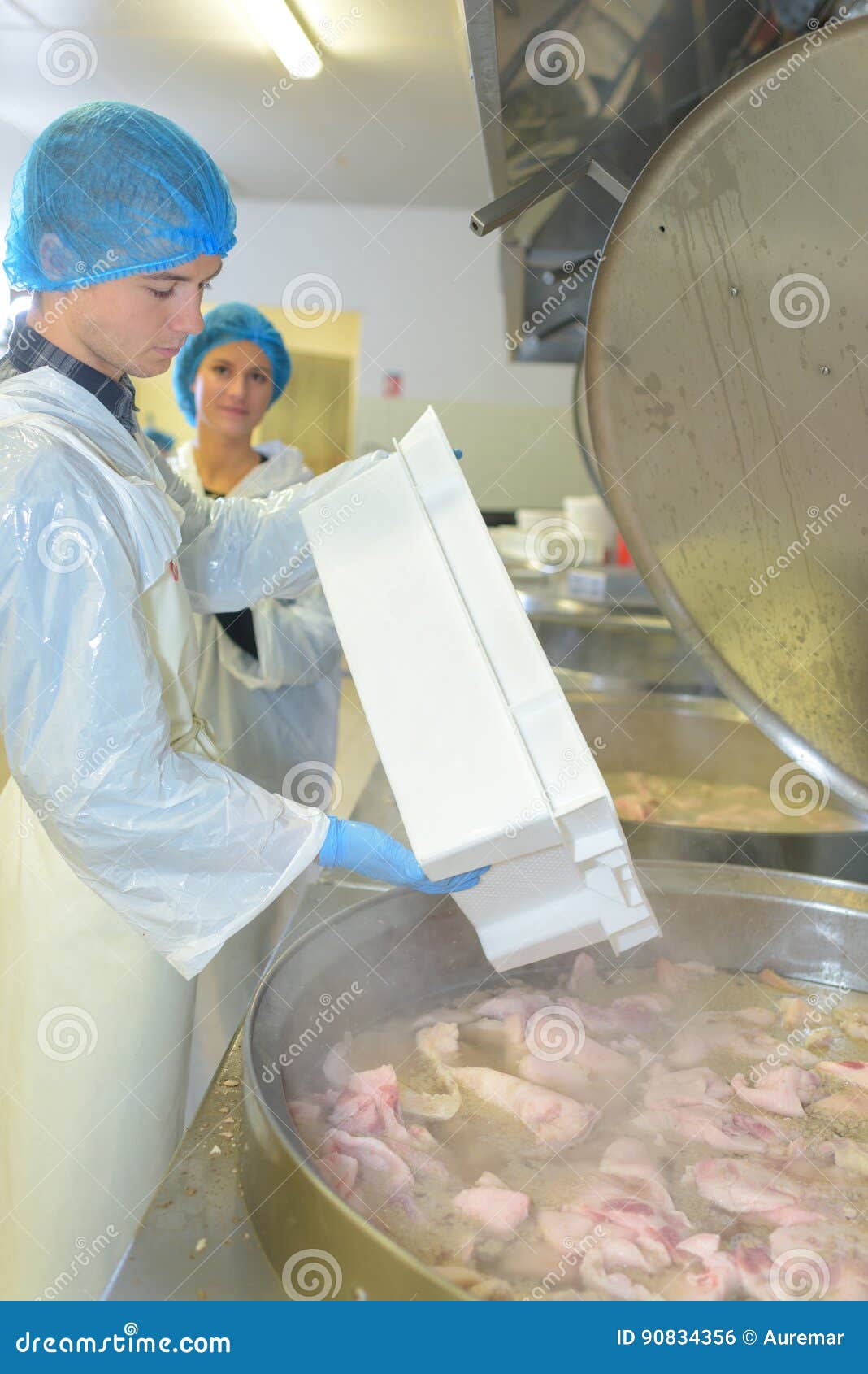 Man Tipping Container Chickens into Vat Stock Photo - Image of indoors ...