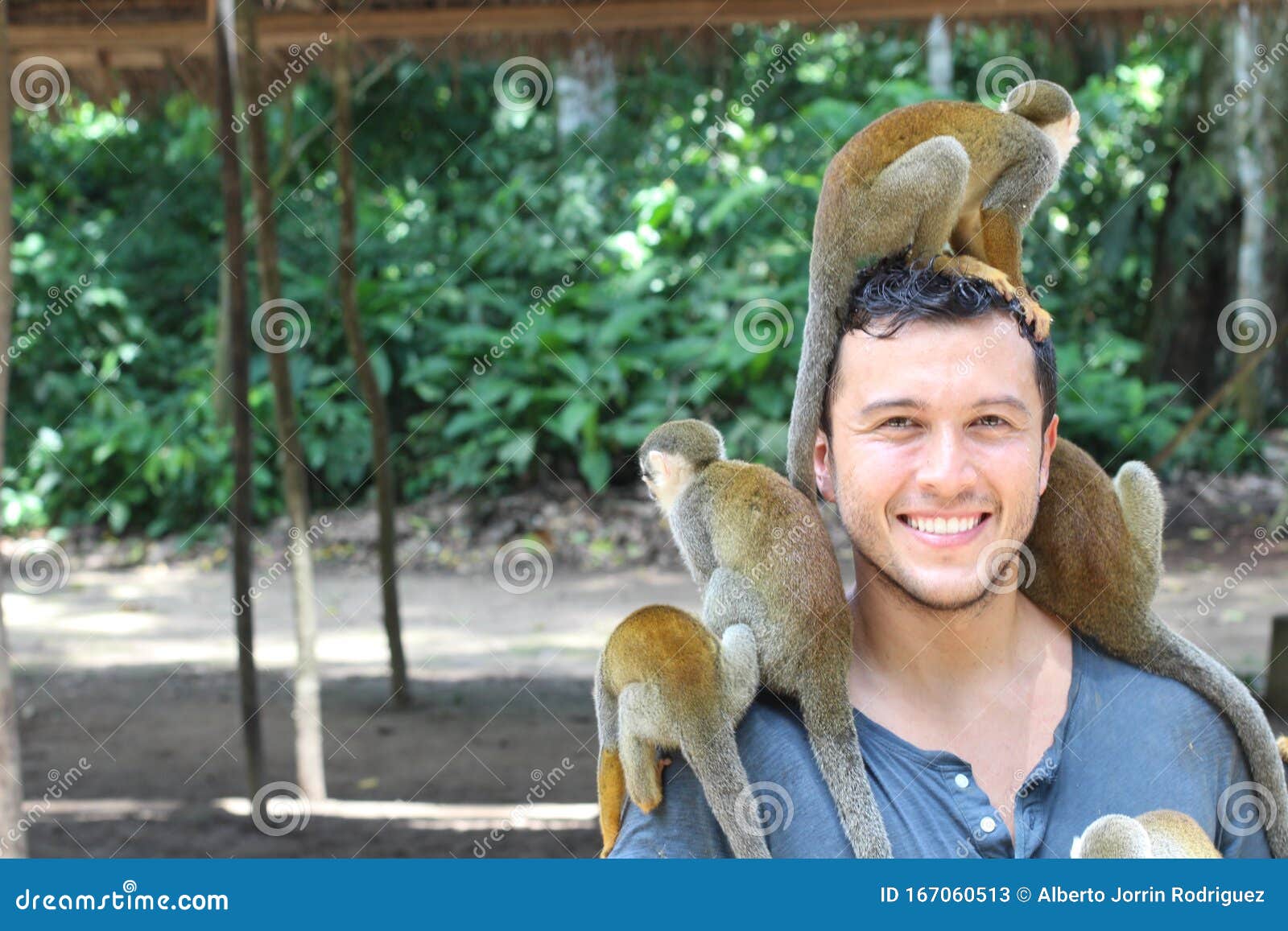 Man and Titi Monkeys in the Amazon Region Stock Image - Image of group ...