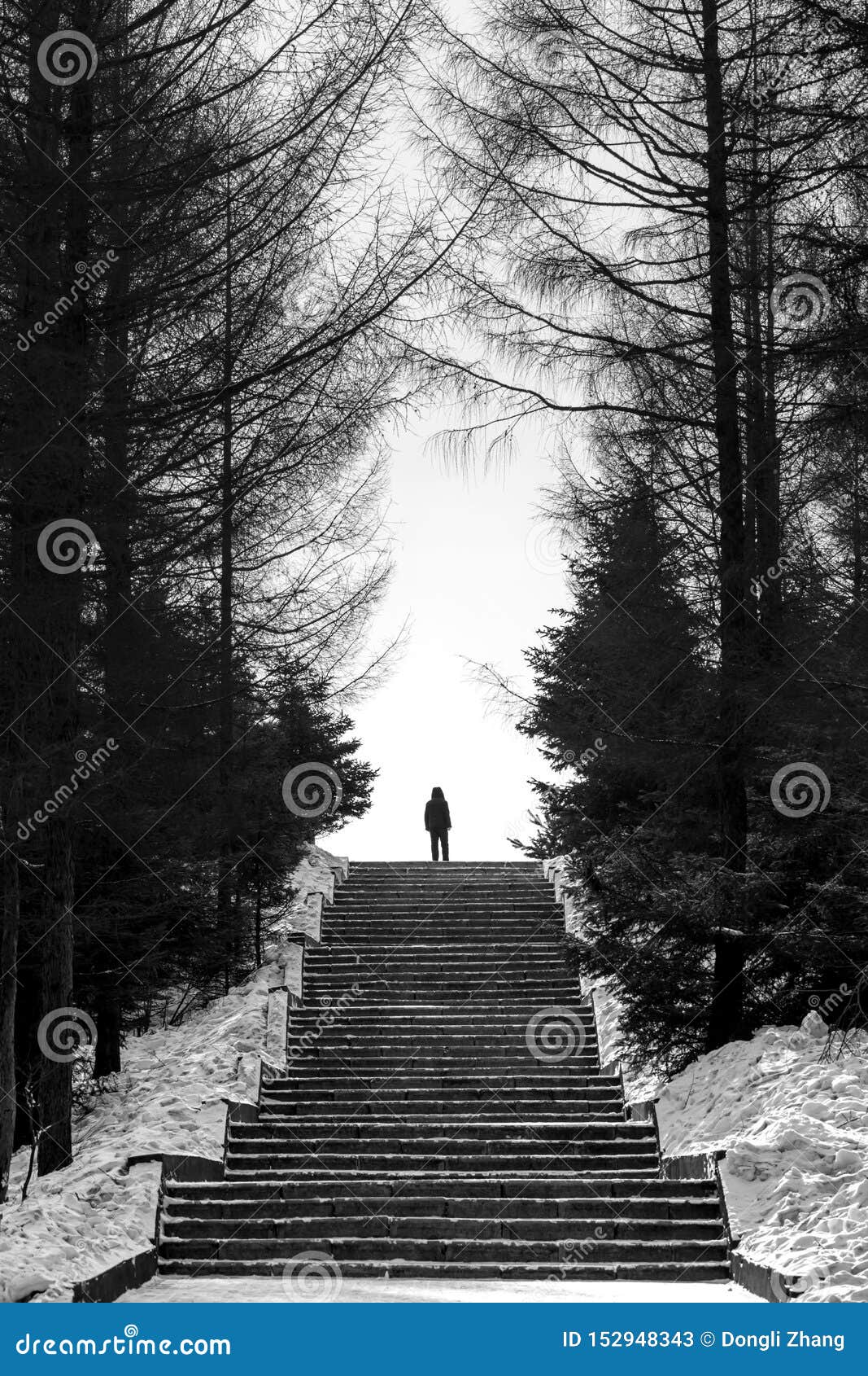 Man on the Top of Mountain Step Walk Way View Stock Image - Image of ...