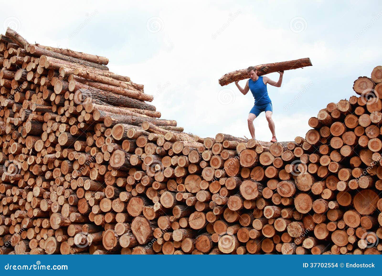 Man on top of pile of logs stock photo. Image of pile - 37702554