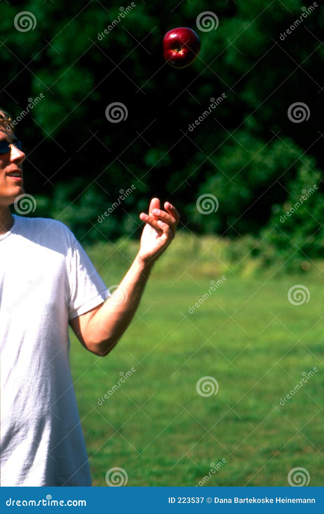 Man Tossing Apple stock image. Image of eating, casual - 223537