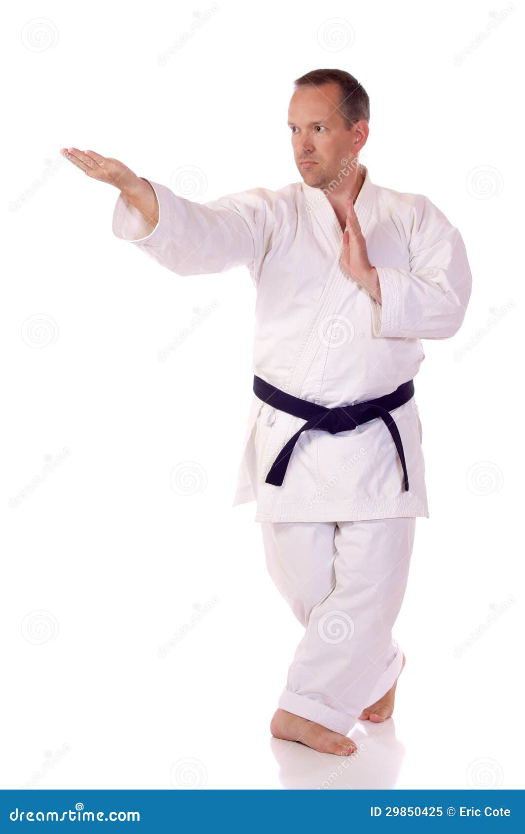 Karateka stock image. Image of individual, health, sensei - 29850425