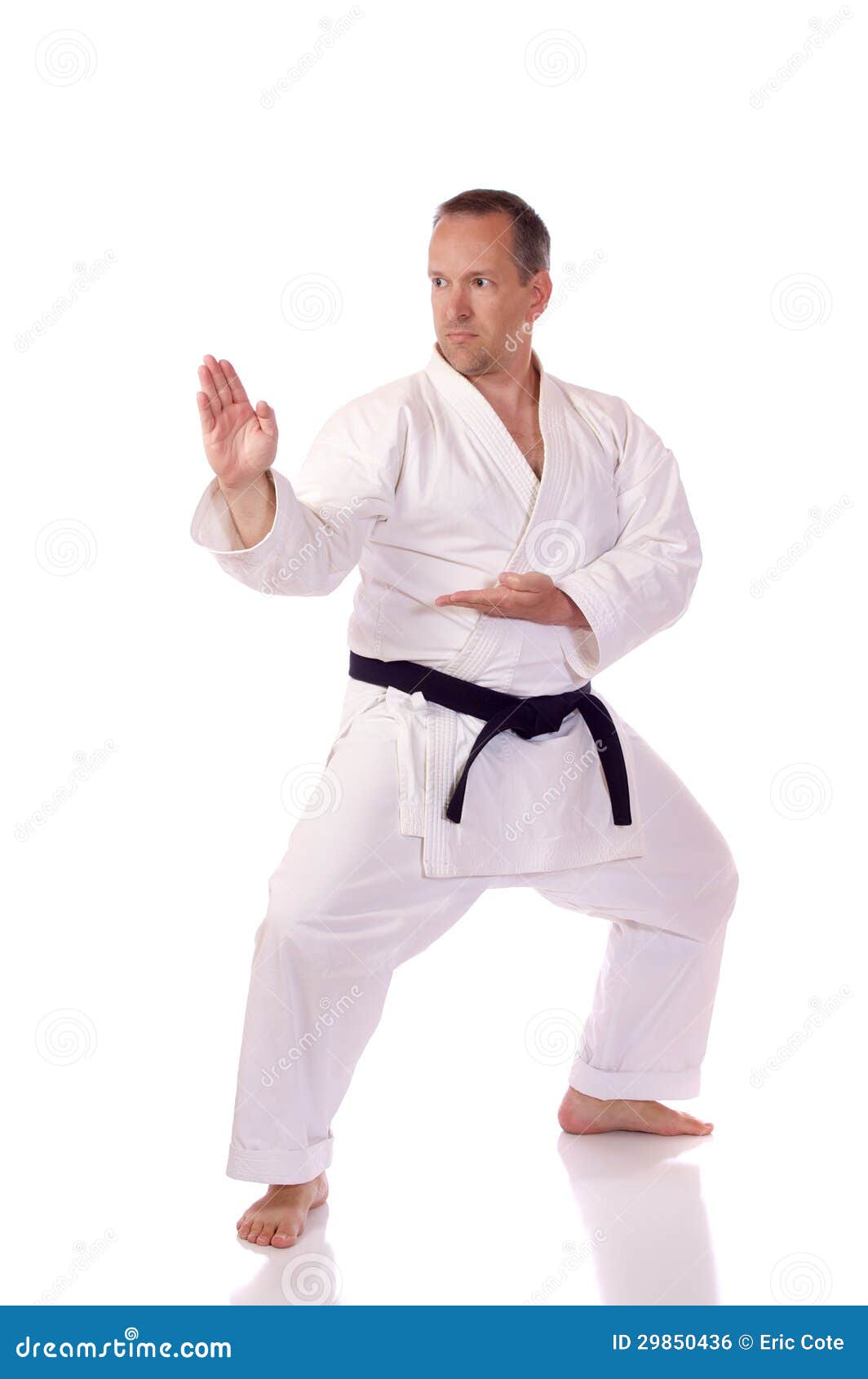 Karateka stock photo. Image of male, posture, athlete - 29850436