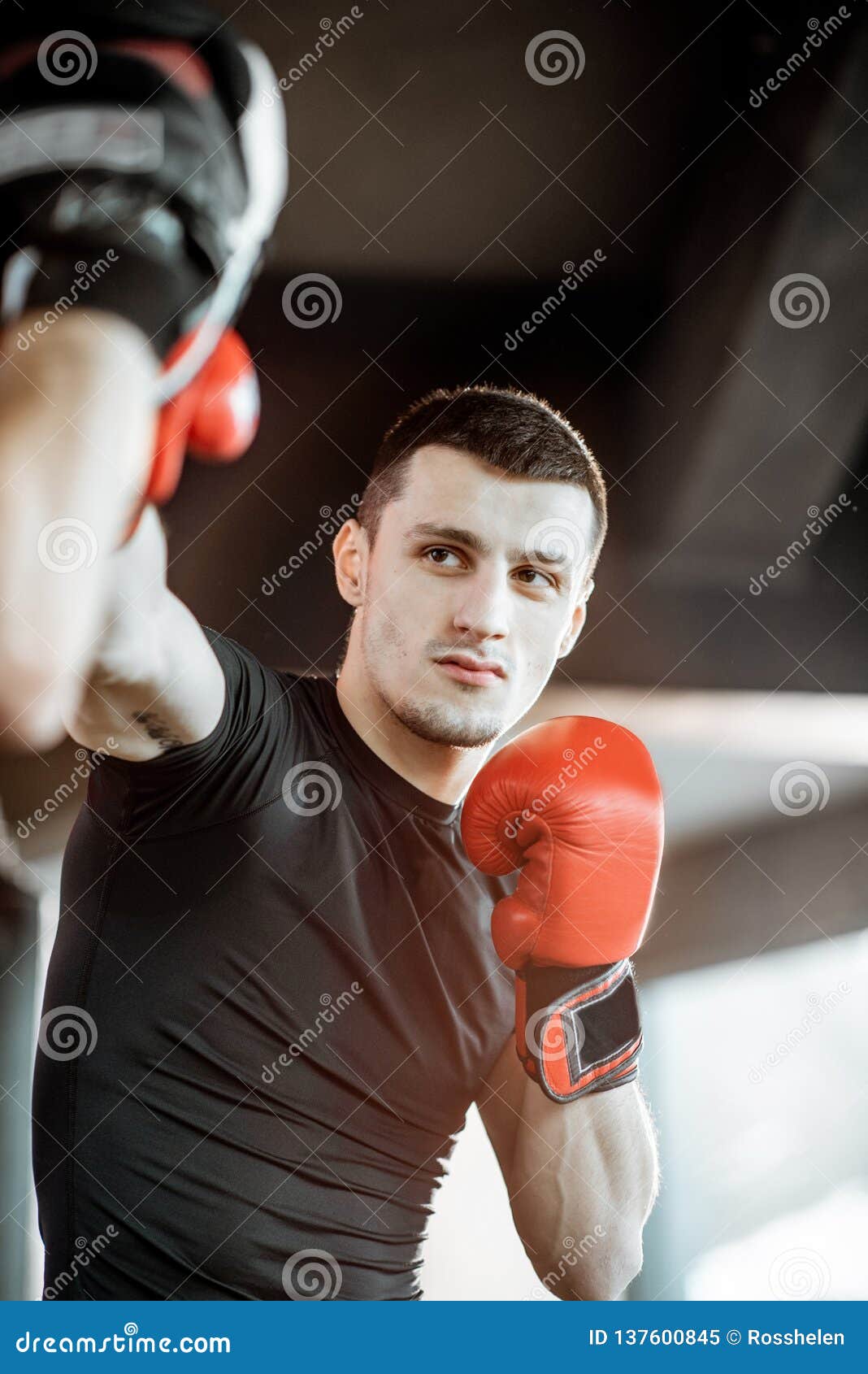Man Training with Boxing Coach on the Boxing Ring Stock Image - Image ...