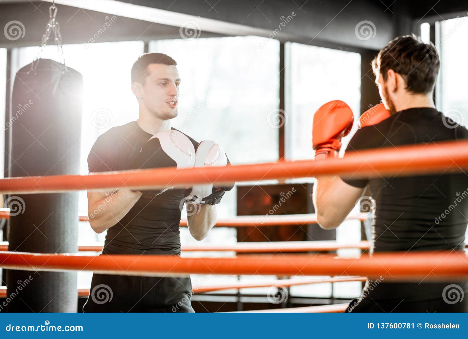 Man Training with Boxing Coach on the Boxing Ring Stock Image - Image ...