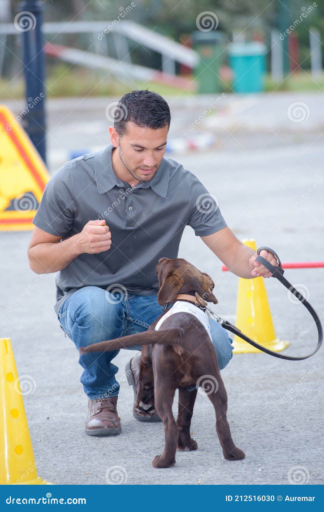 Man training dog stock photo. Image of jump, handler - 212516030