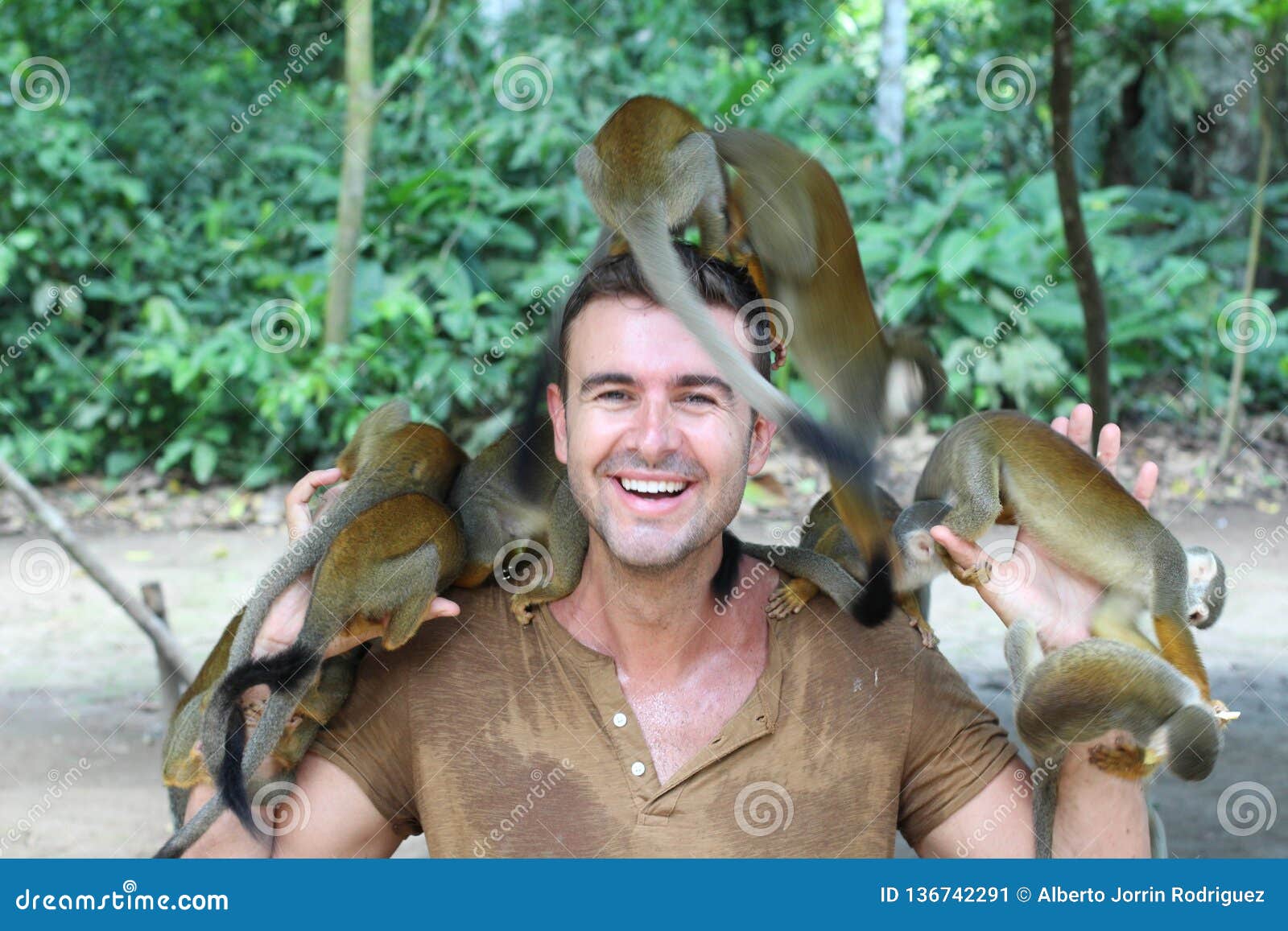 Man Training a Group of Monkeys Stock Image - Image of handler, people ...