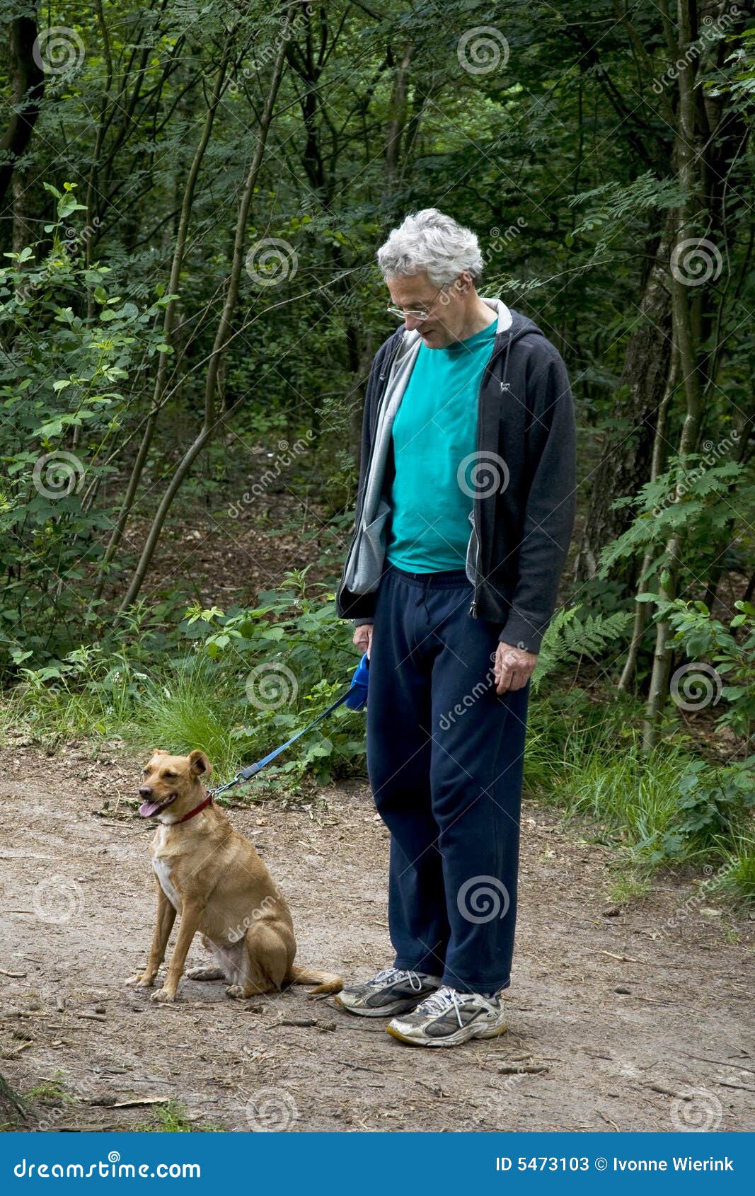 Man is training his dog stock image. Image of trees, grey - 5473103
