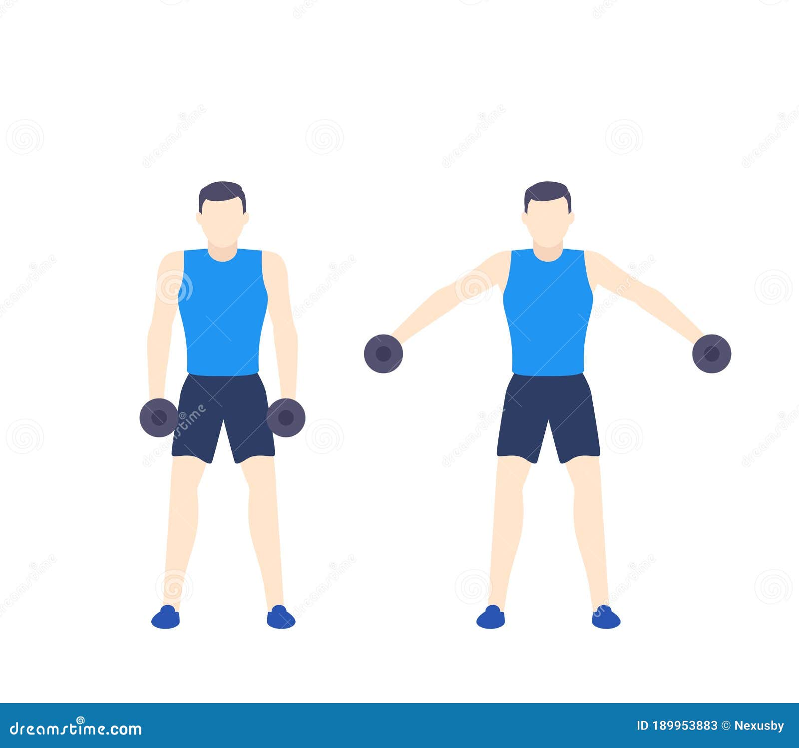 Man Training Shoulders in the Gym, Vector Stock Vector - Illustration ...