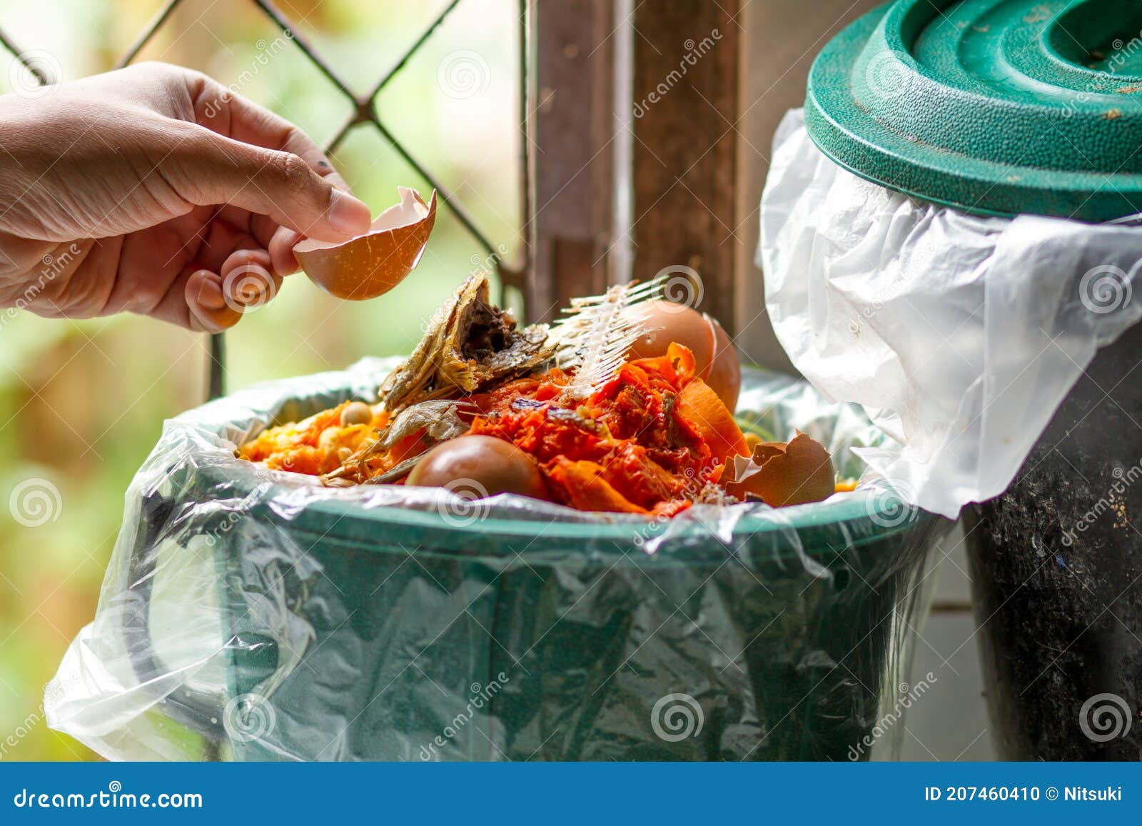 Trashing Shell Stock Photos - Free & Royalty-Free Stock Photos from ...