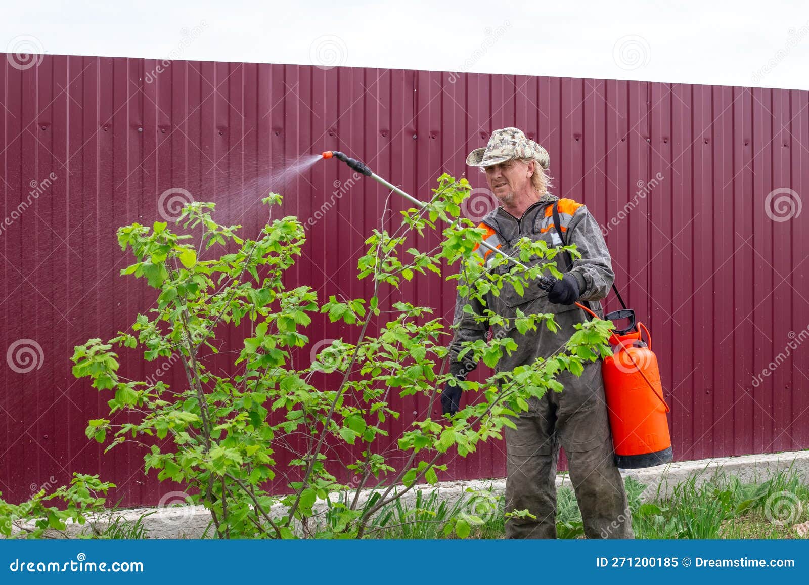 Man Treats Fruit Trees From Diseases And Insects Pests In The Garden