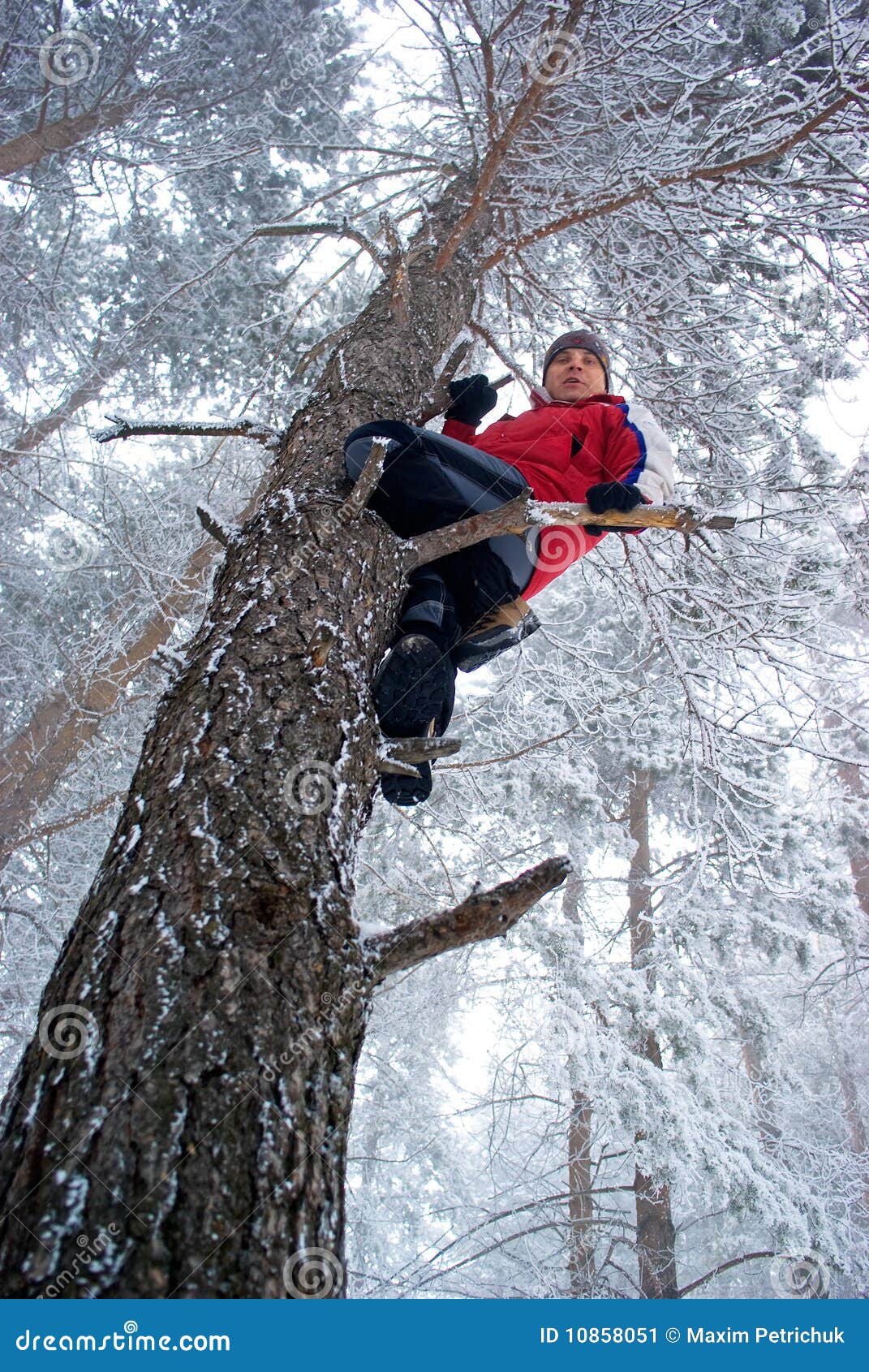 Man on tree stock image. Image of frost, posing, white - 10858051