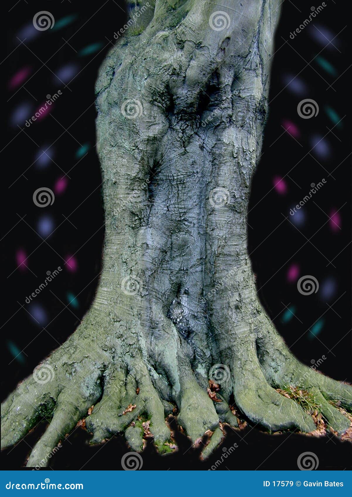 Man in tree stock image. Image of forest, nature, mystical - 17579