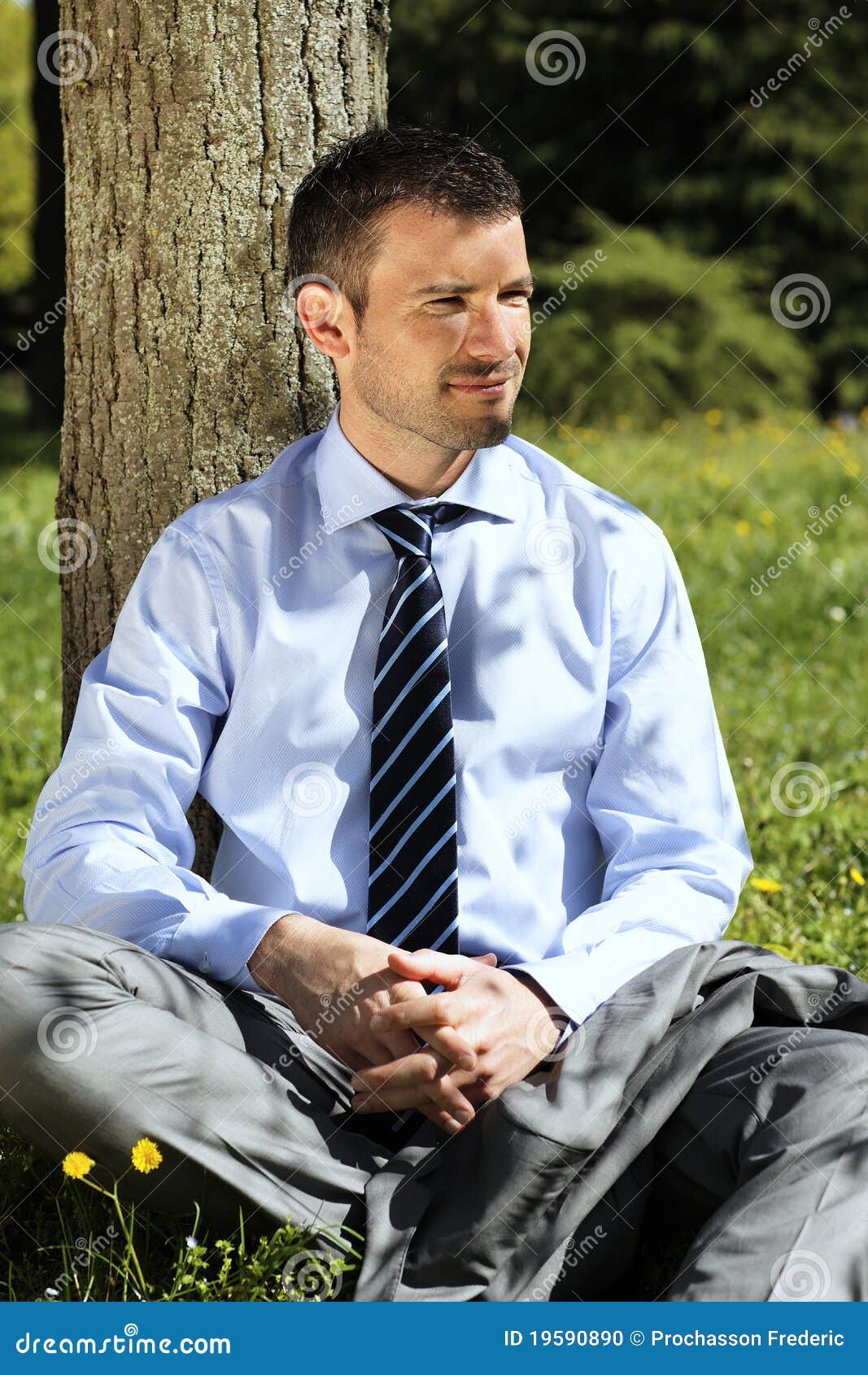 Man and tree stock photo. Image of parks, activity, smile - 19590890