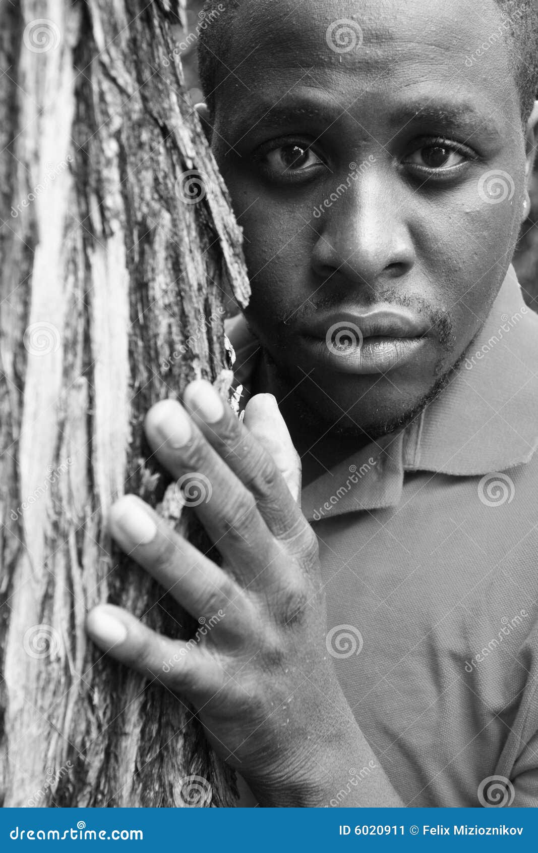 Man By A Tree Picture. Image: 6020911