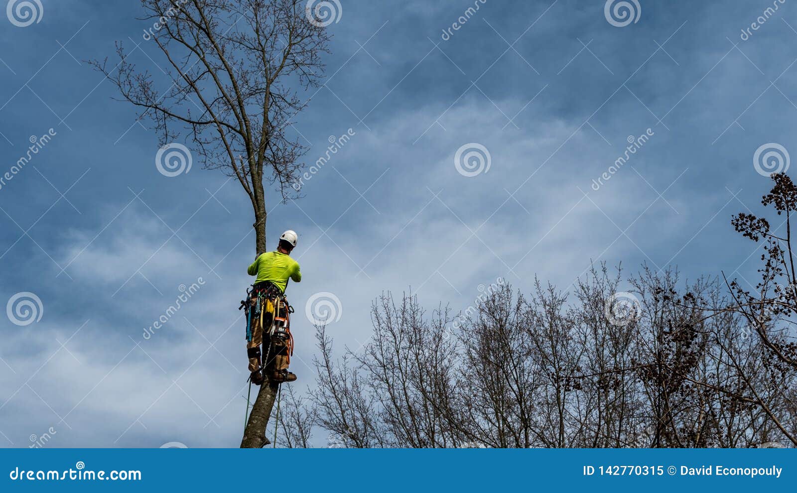 Man in tree with chainsaw stock image. Image of equipment - 142770315