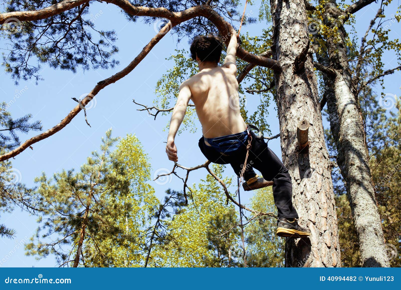 Man on tree stock photo. Image of nature, removal, dust - 40994482