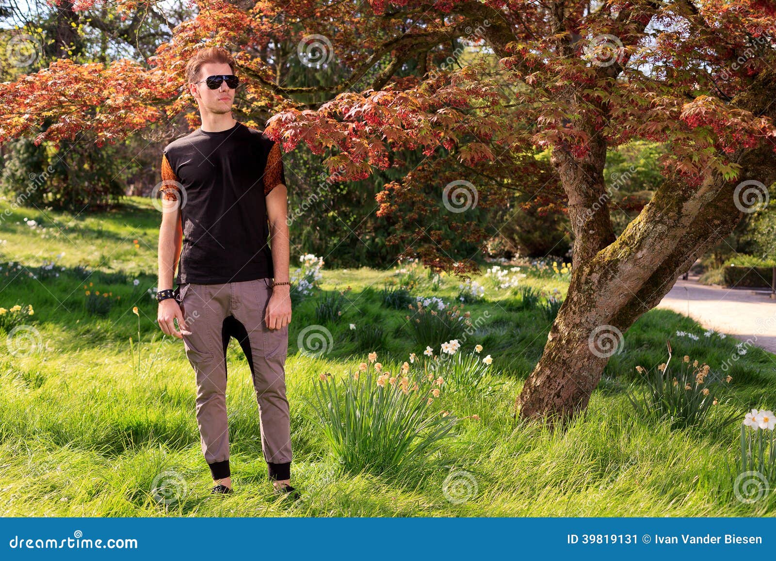 Man tree stock image. Image of handsome, portrait, adult - 39819131